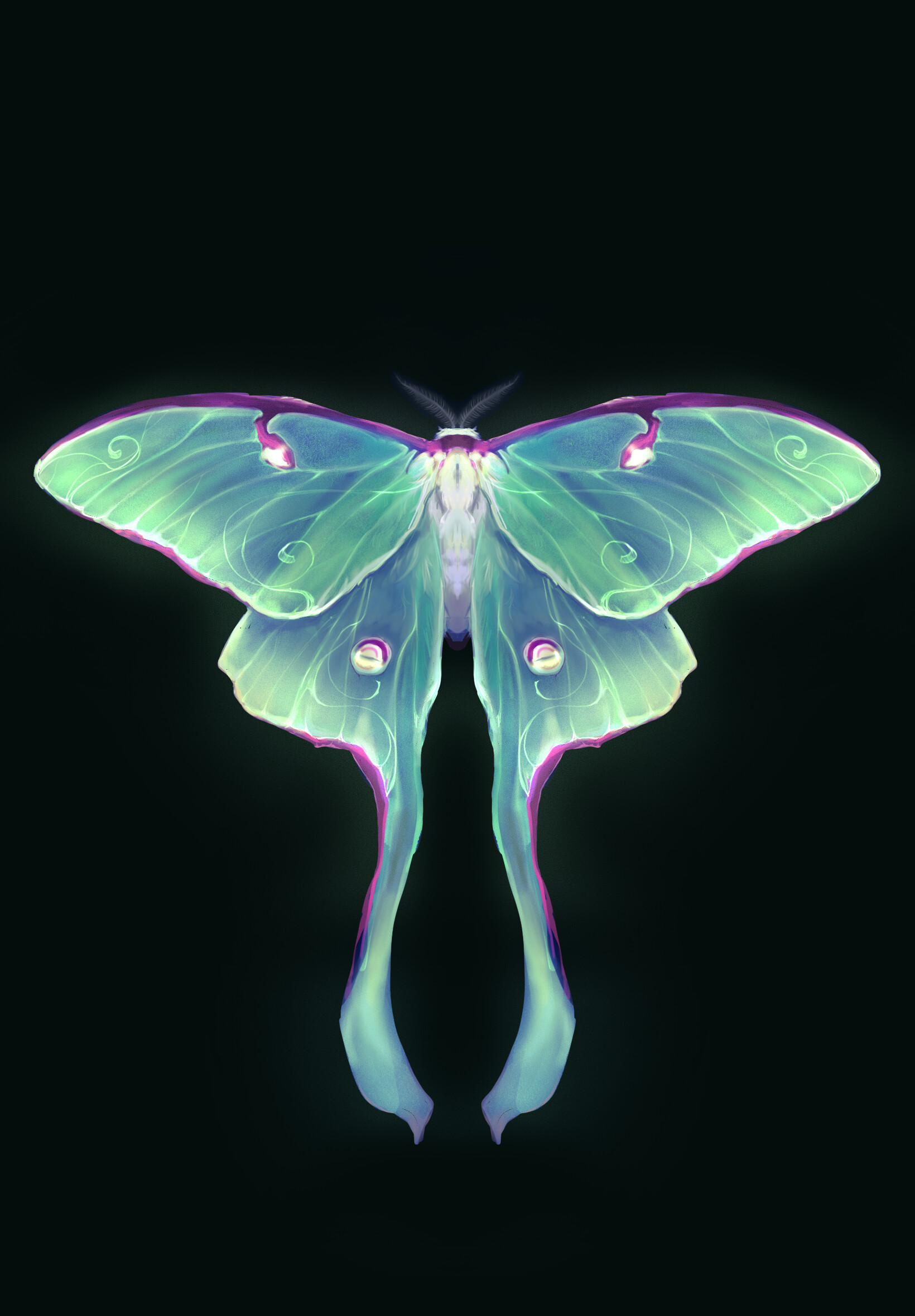 ArtStation - Luna Moth