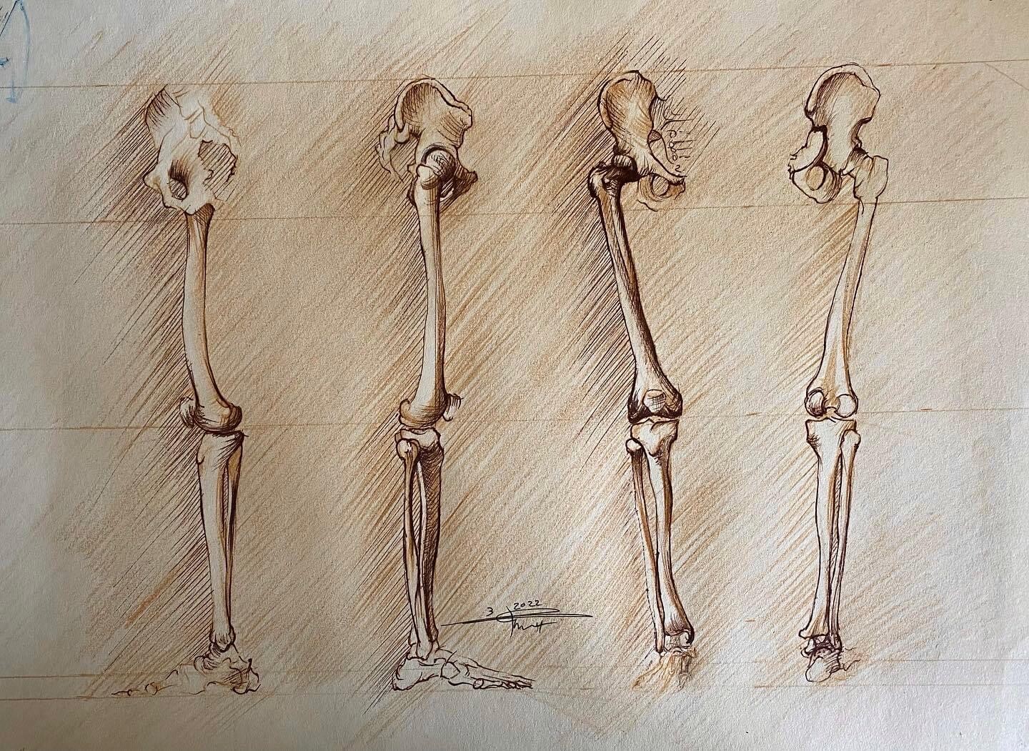 ArtStation - Leg Anatomy Study