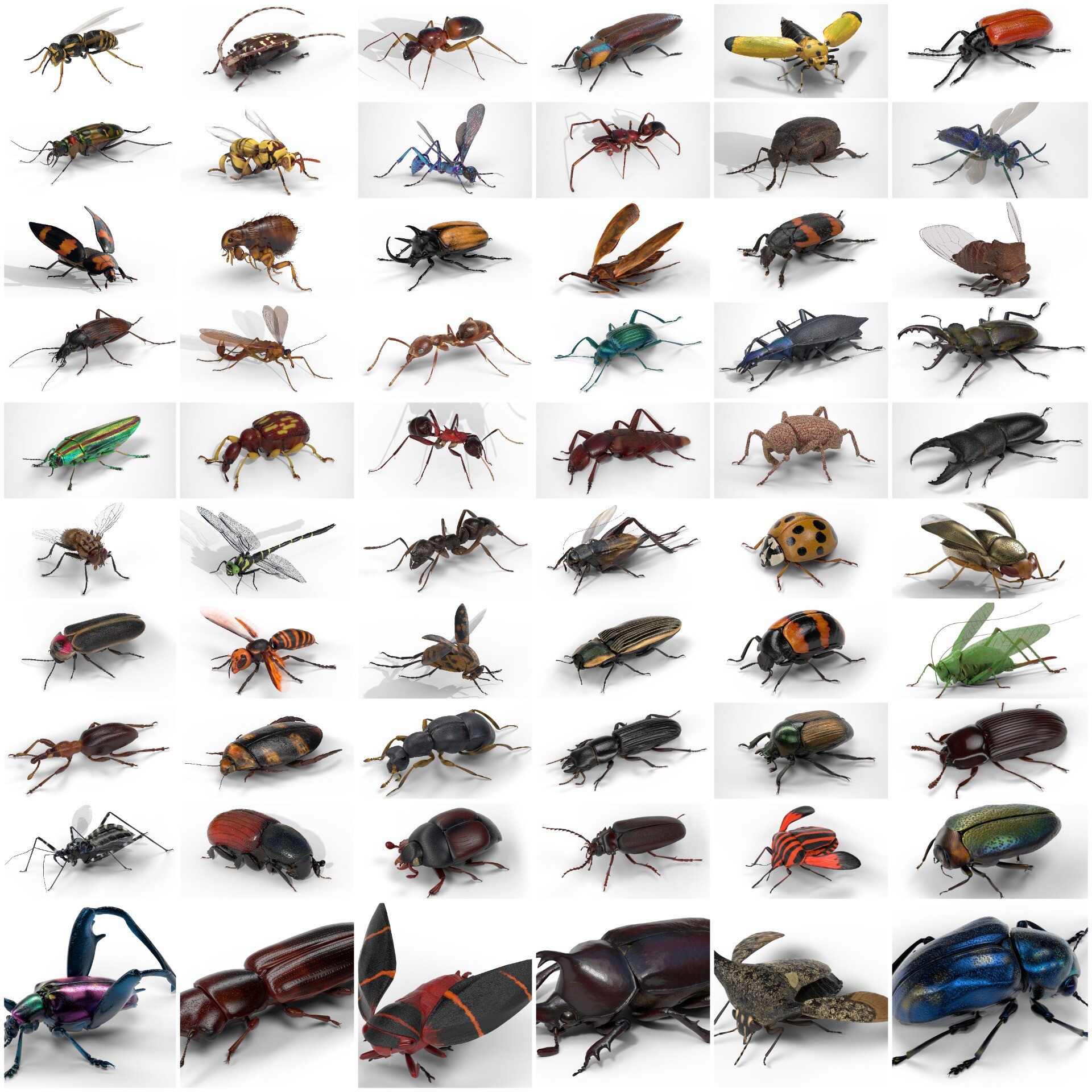 ArtStation - Insect pbr textured 3d models