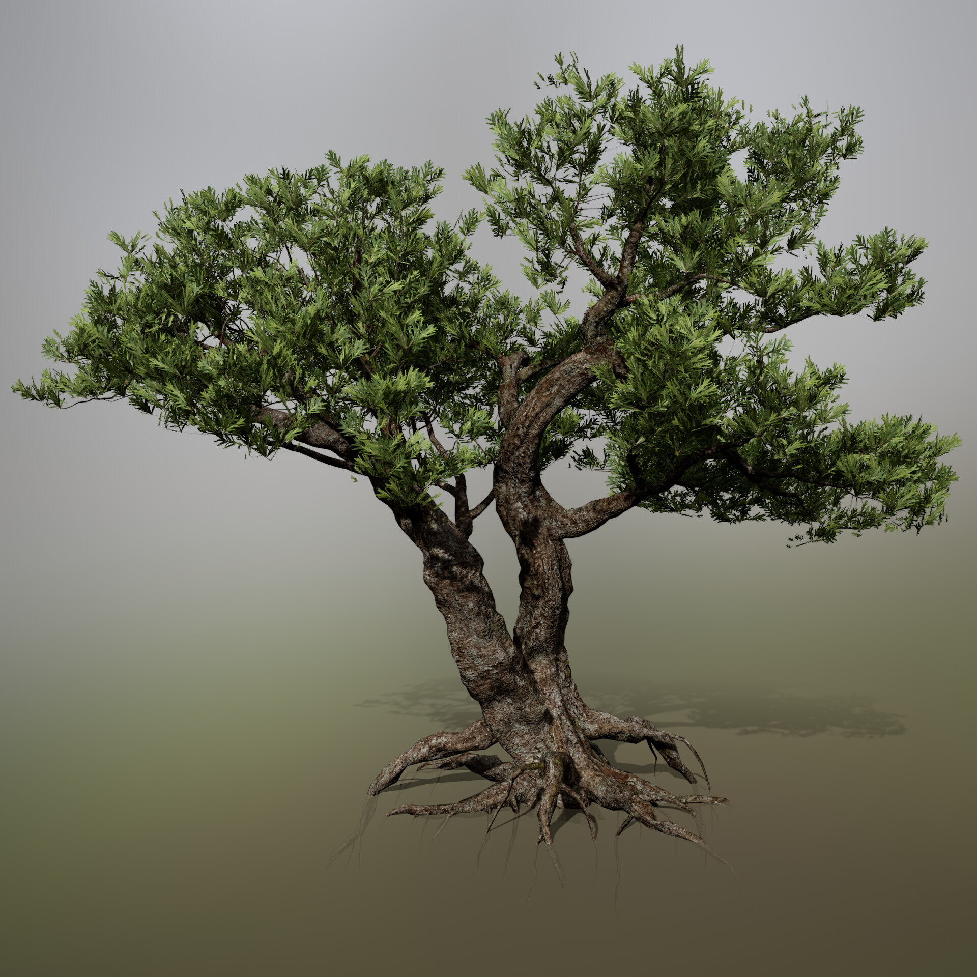 ArtStation - tree practice
