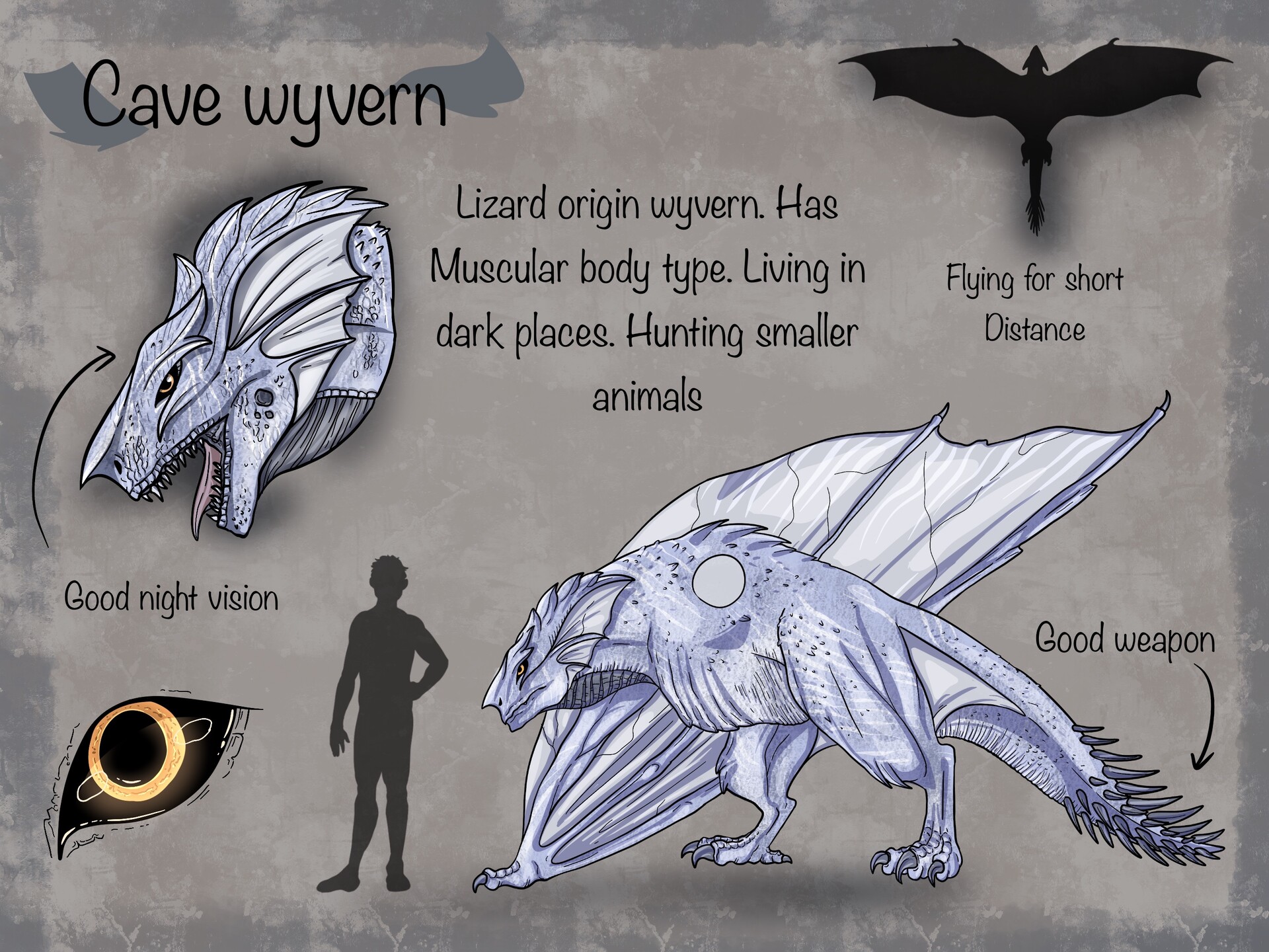 Wilquor - My 3 types of Wyverns / flying beasts