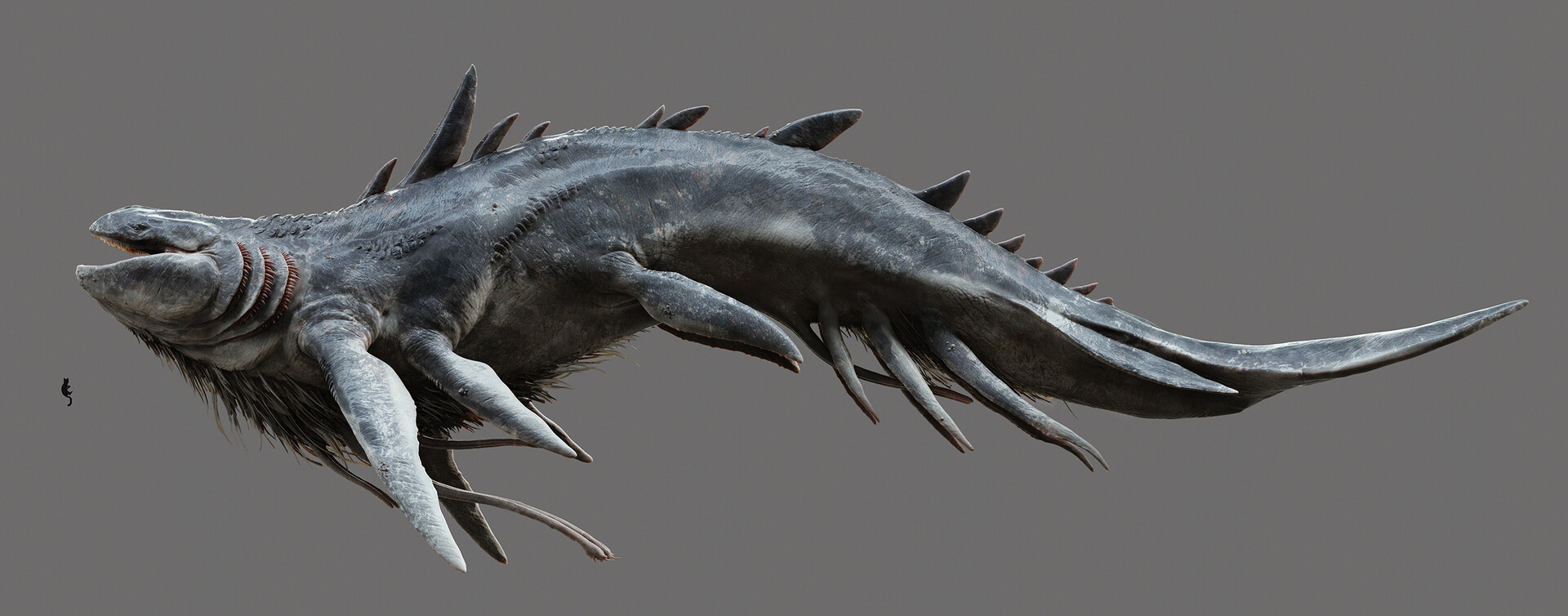 Florent Desailly - Flow Whale