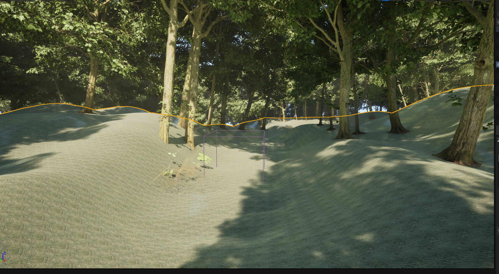 Matt Hayward - Morning Forest