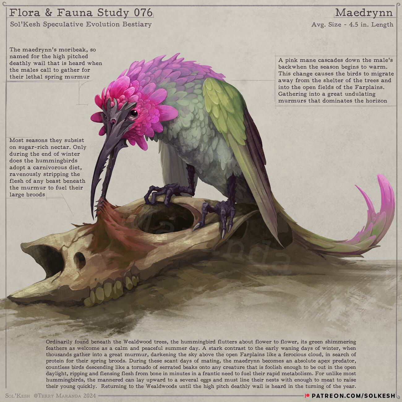 ArtStation - Creature Journal Maedrynn