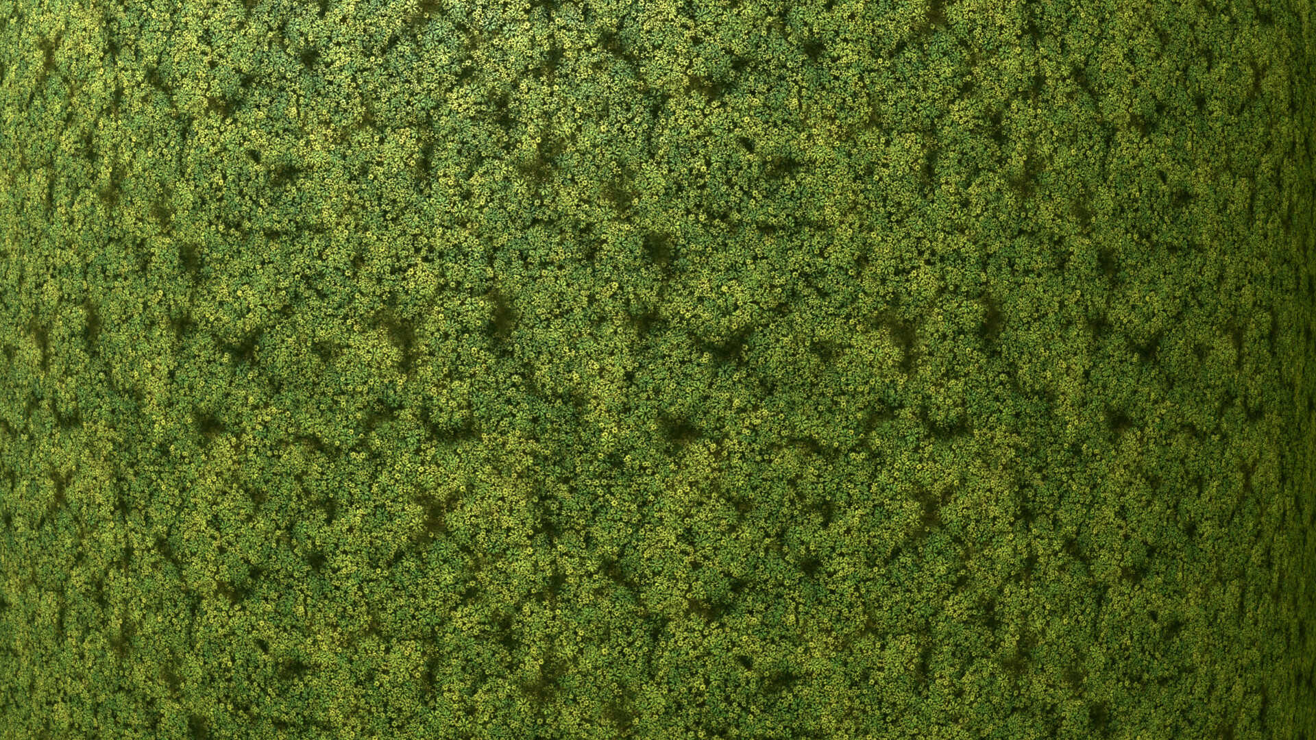 ArtStation - Moss - Material Study