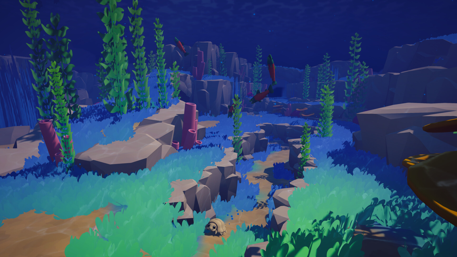 Aniek Janssen - Bigger Fish to Fry - Environmental design