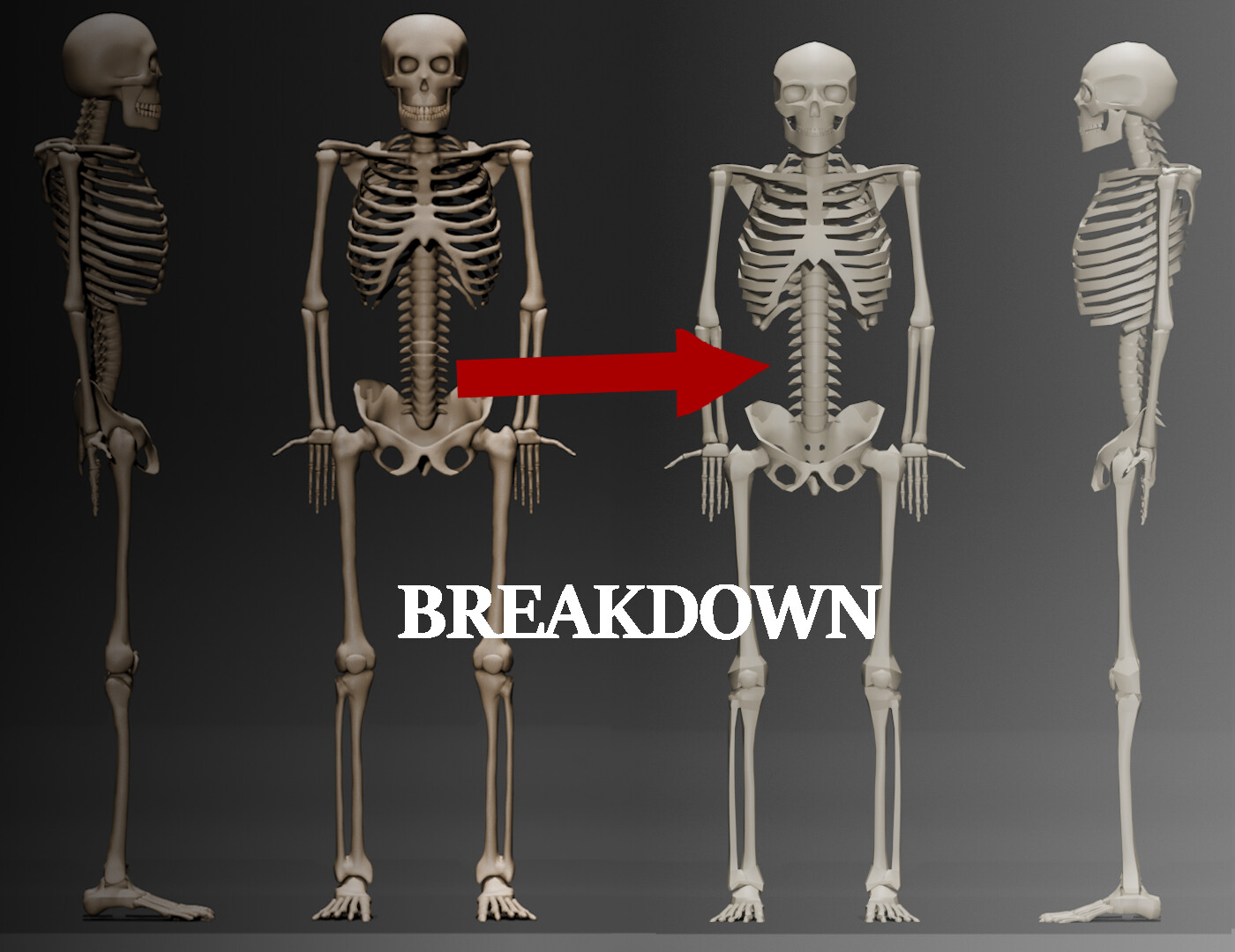 ArtStation - 3D low-poly model of a skeleton.