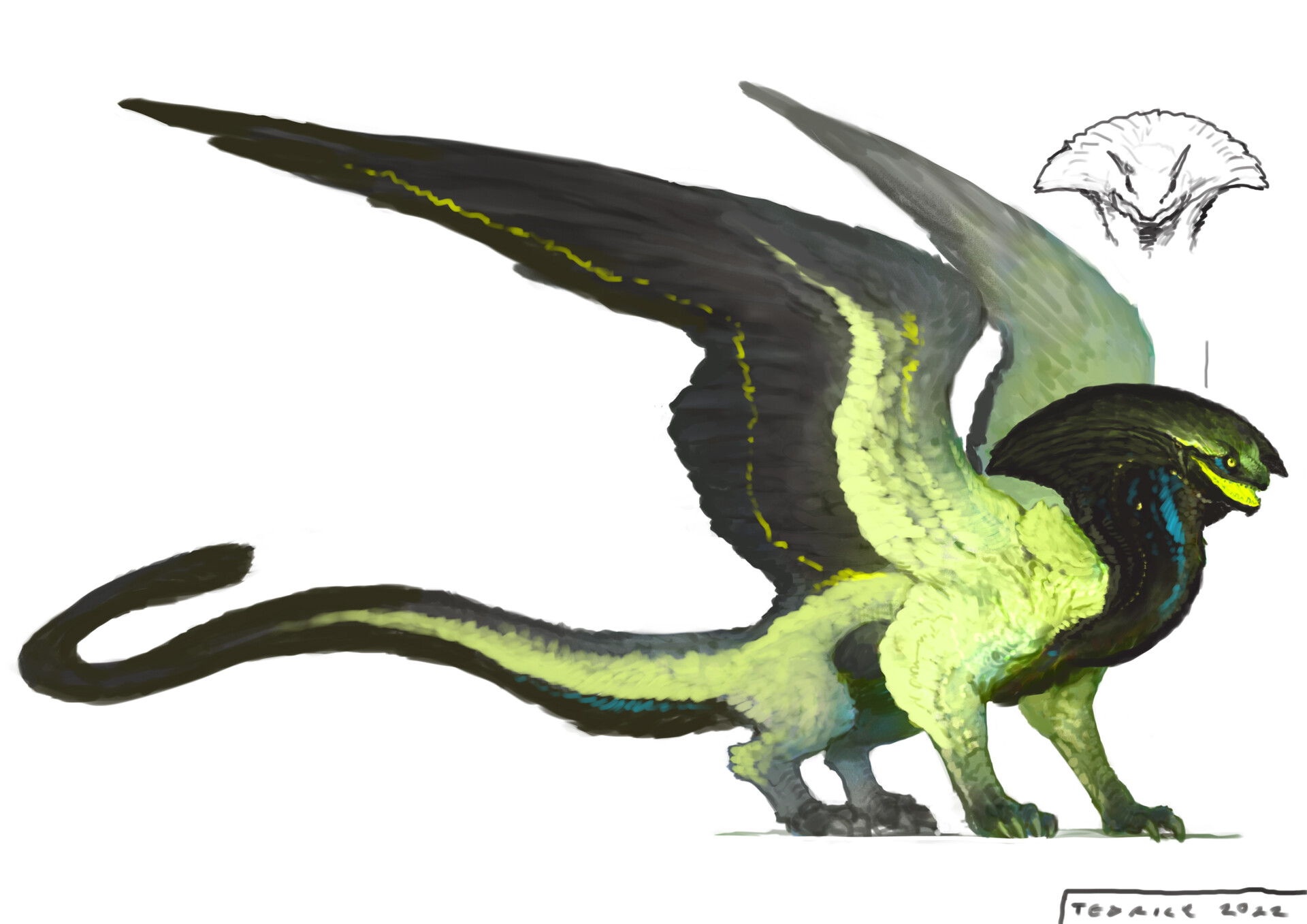 ArtStation - Draco Studios-- Assorted Dragon Concepts, Part 1