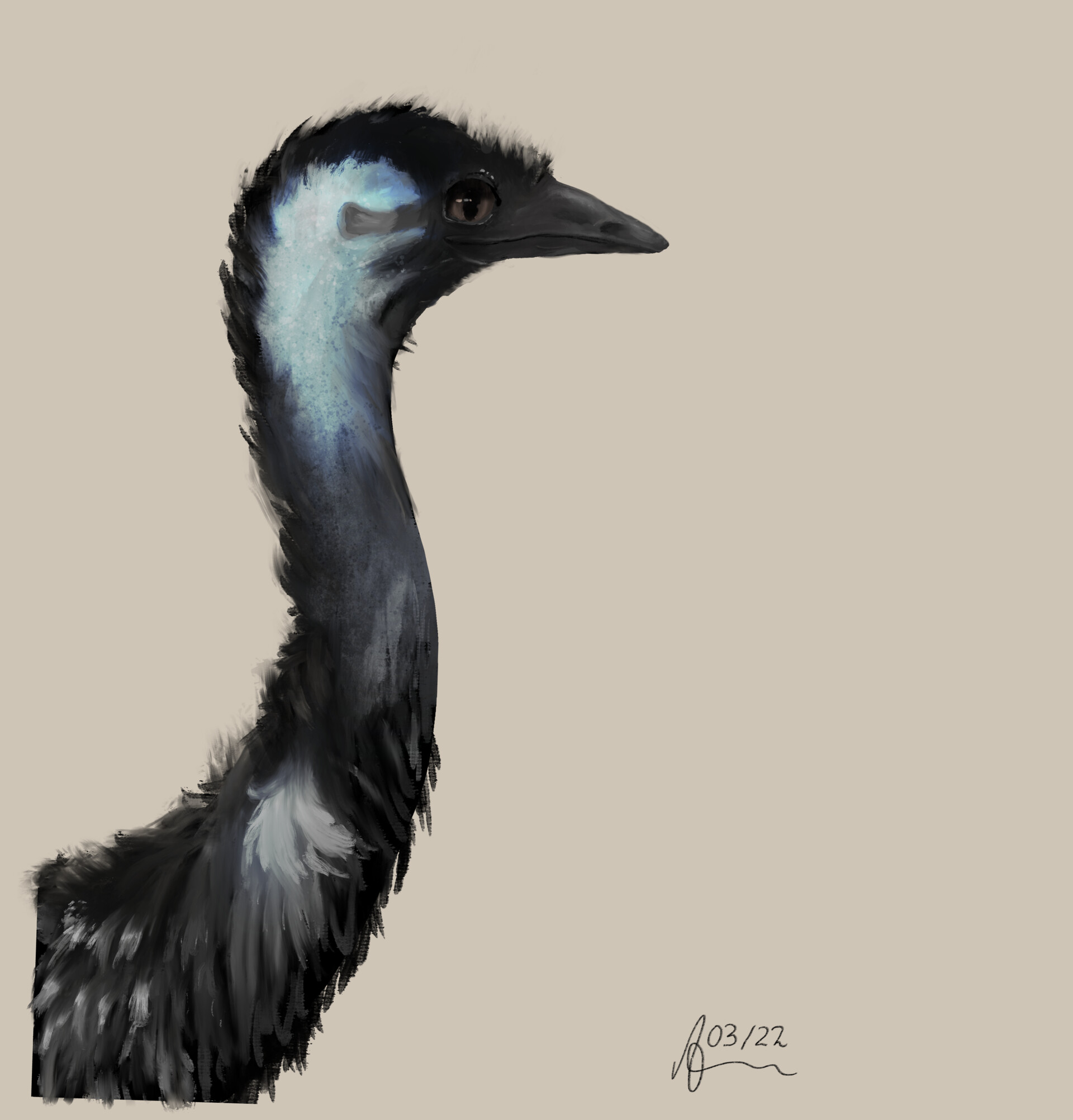 ArtStation - Emu Portrait