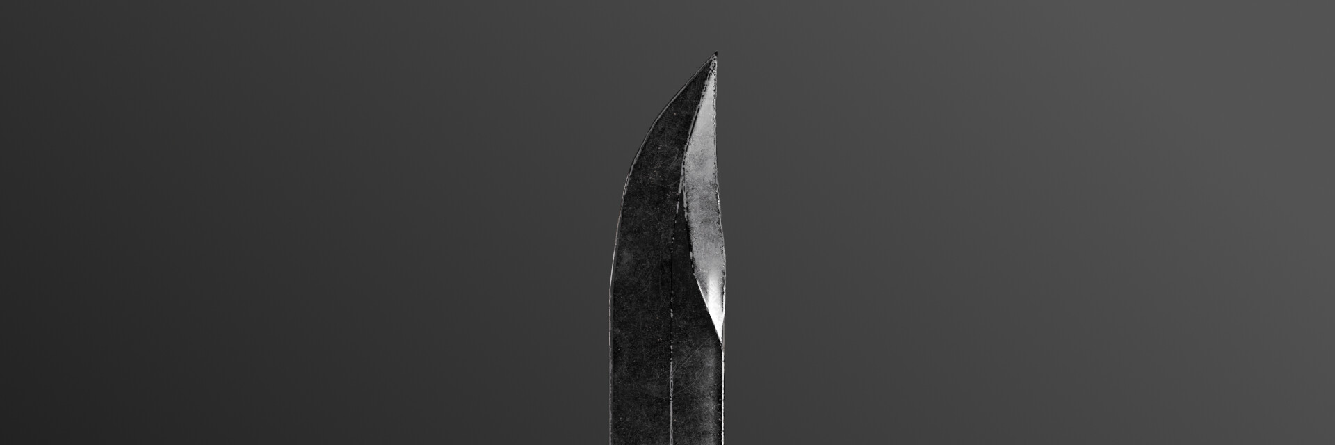 Jayden Ho - Combat/Survival Knife