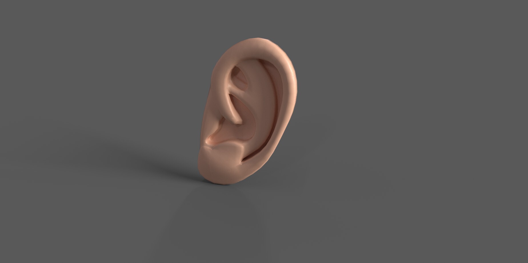 ArtStation - CartoonEar_Test_Project