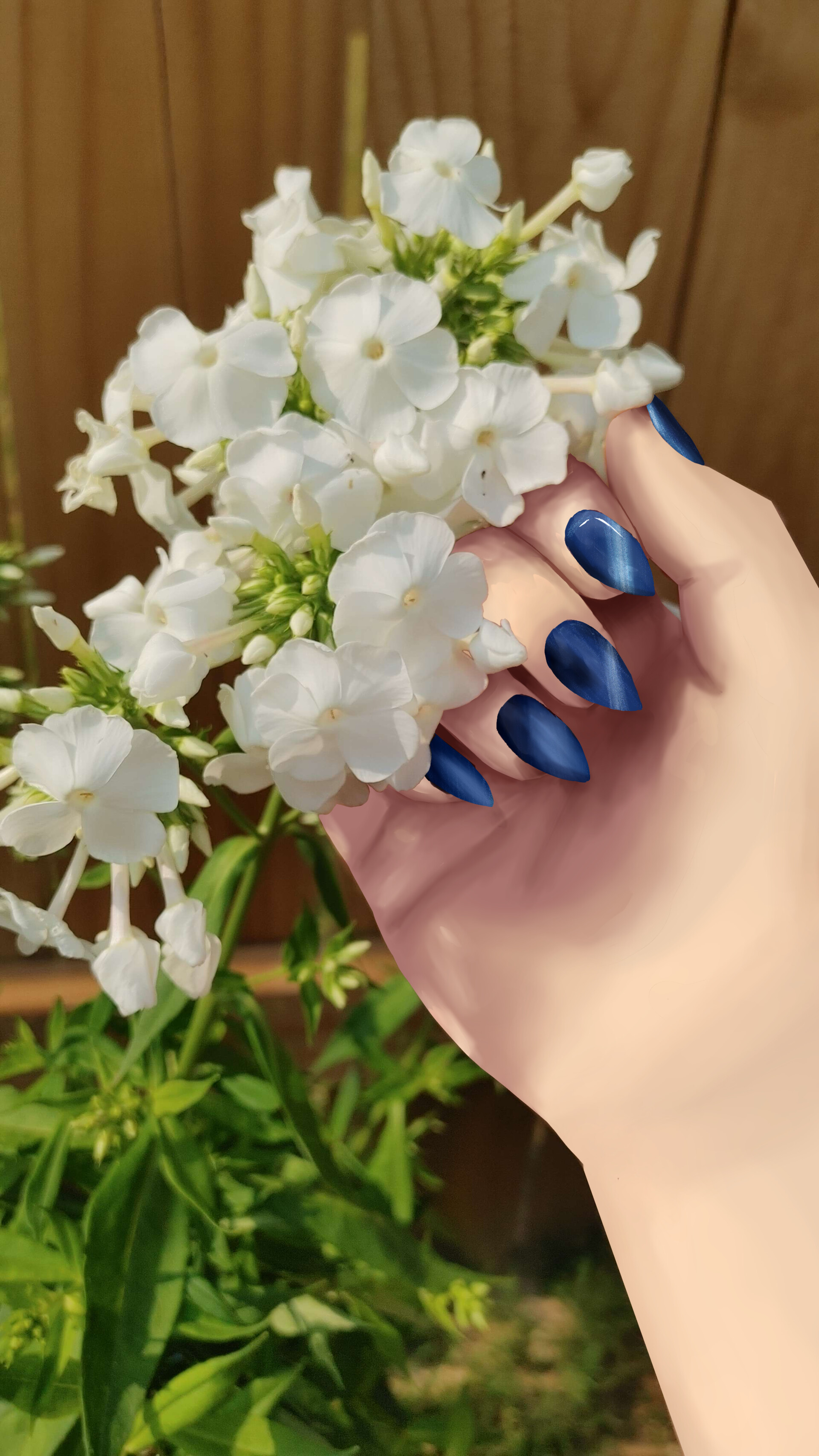 Stephanie Barrett - Fake social media photos for Vtuber