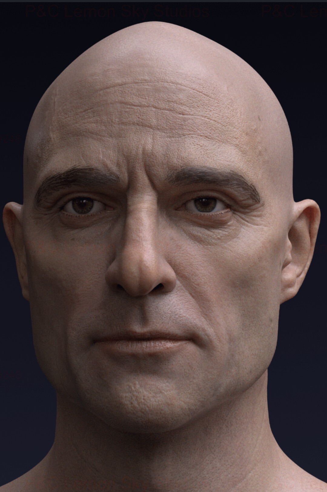 Will Chu - Mark Strong Face Practice