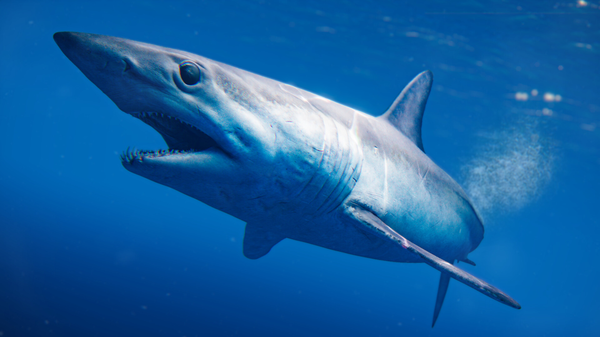 ArtStation - Mako Shark