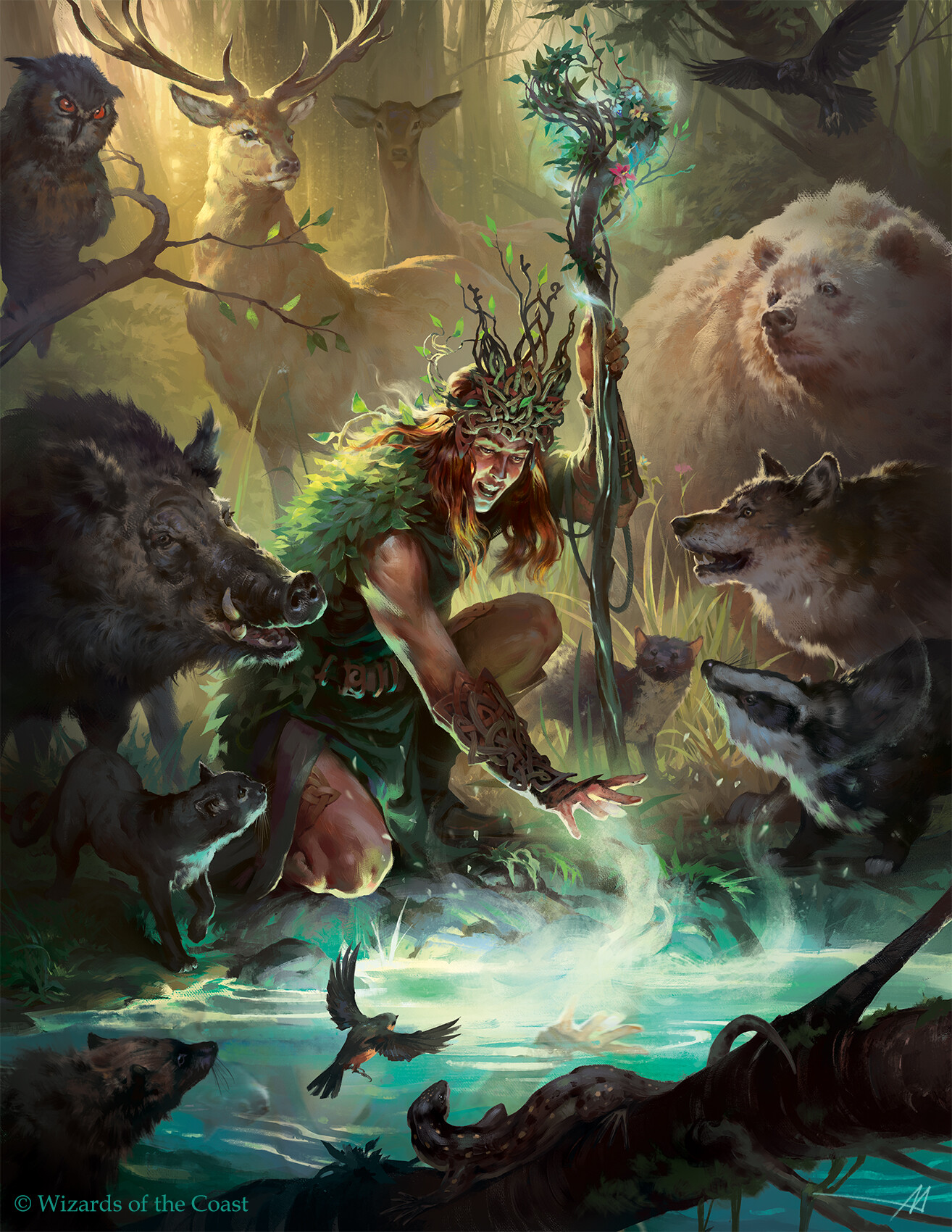 druid artwork
