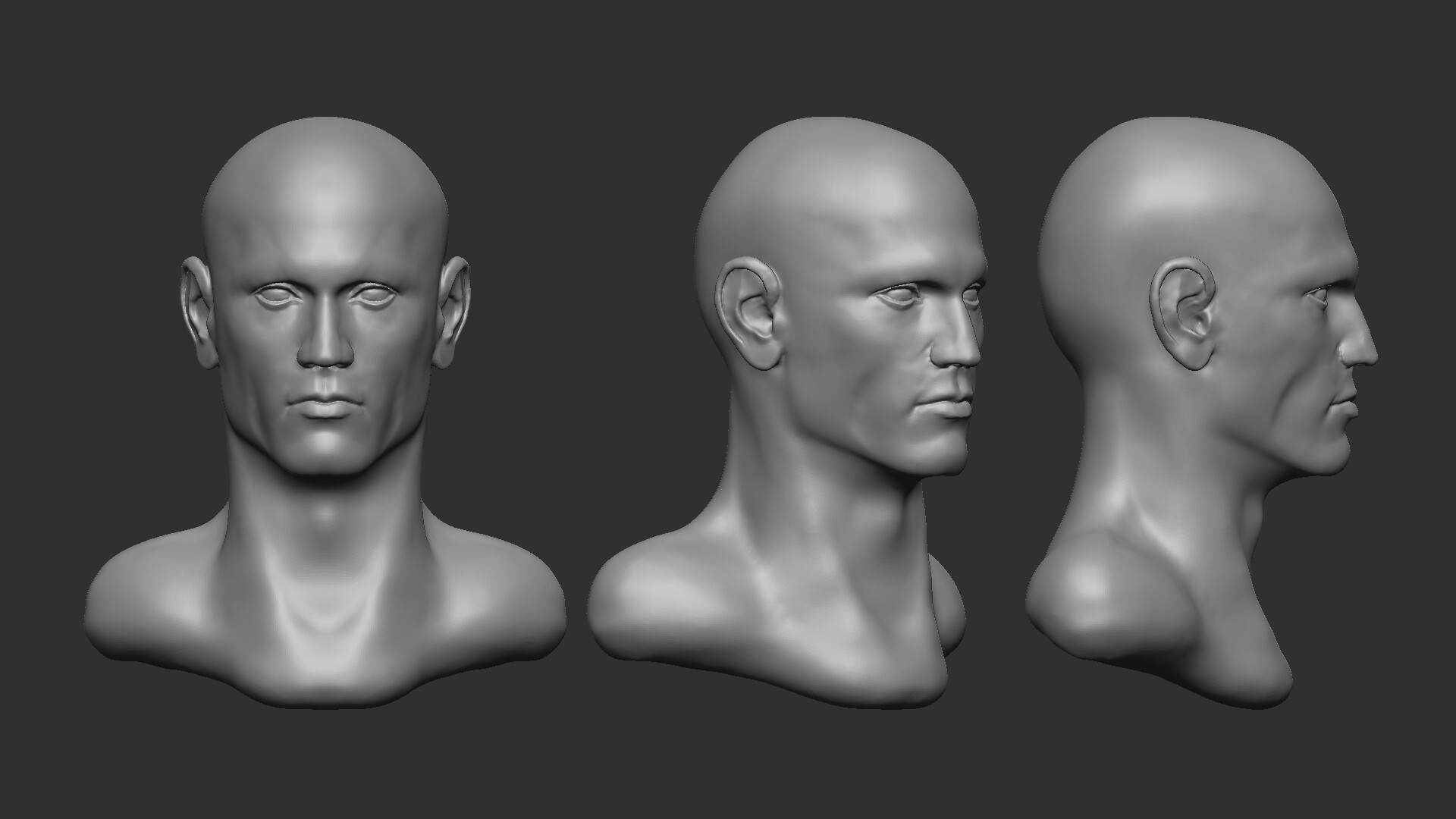 Fedor Bortnik - Head anatomy study 01