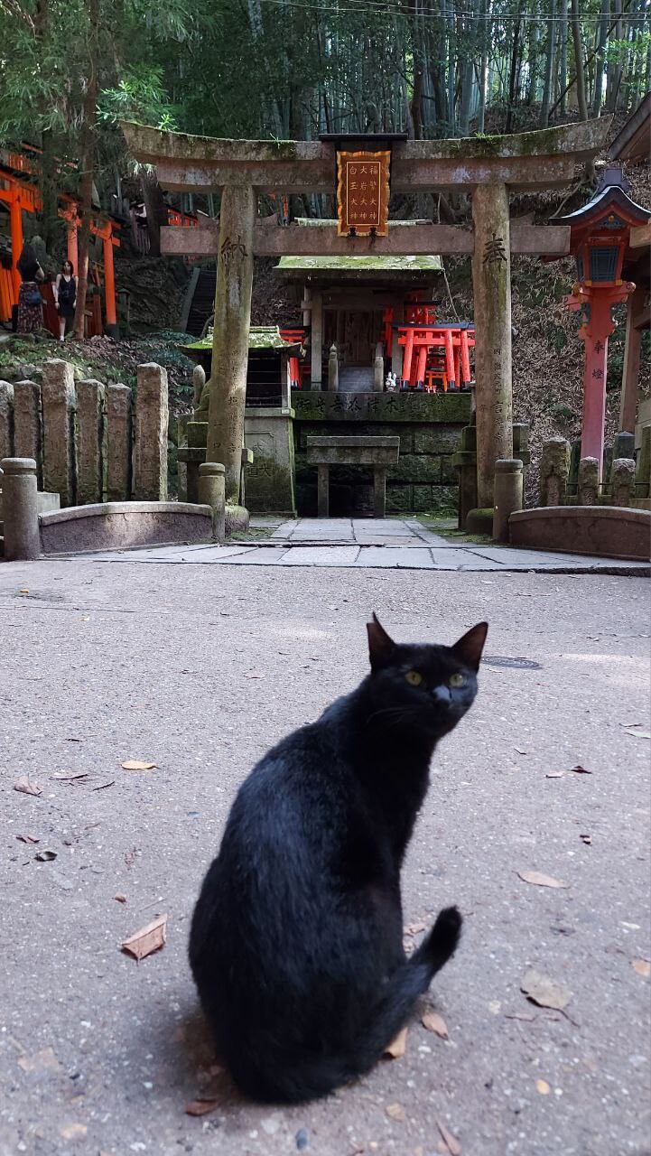 Samurai chan - Little Kamisama