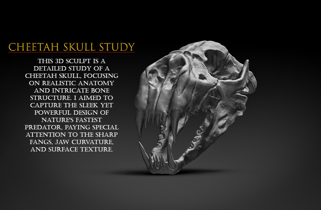ArtStation - CHEETAH SKULL