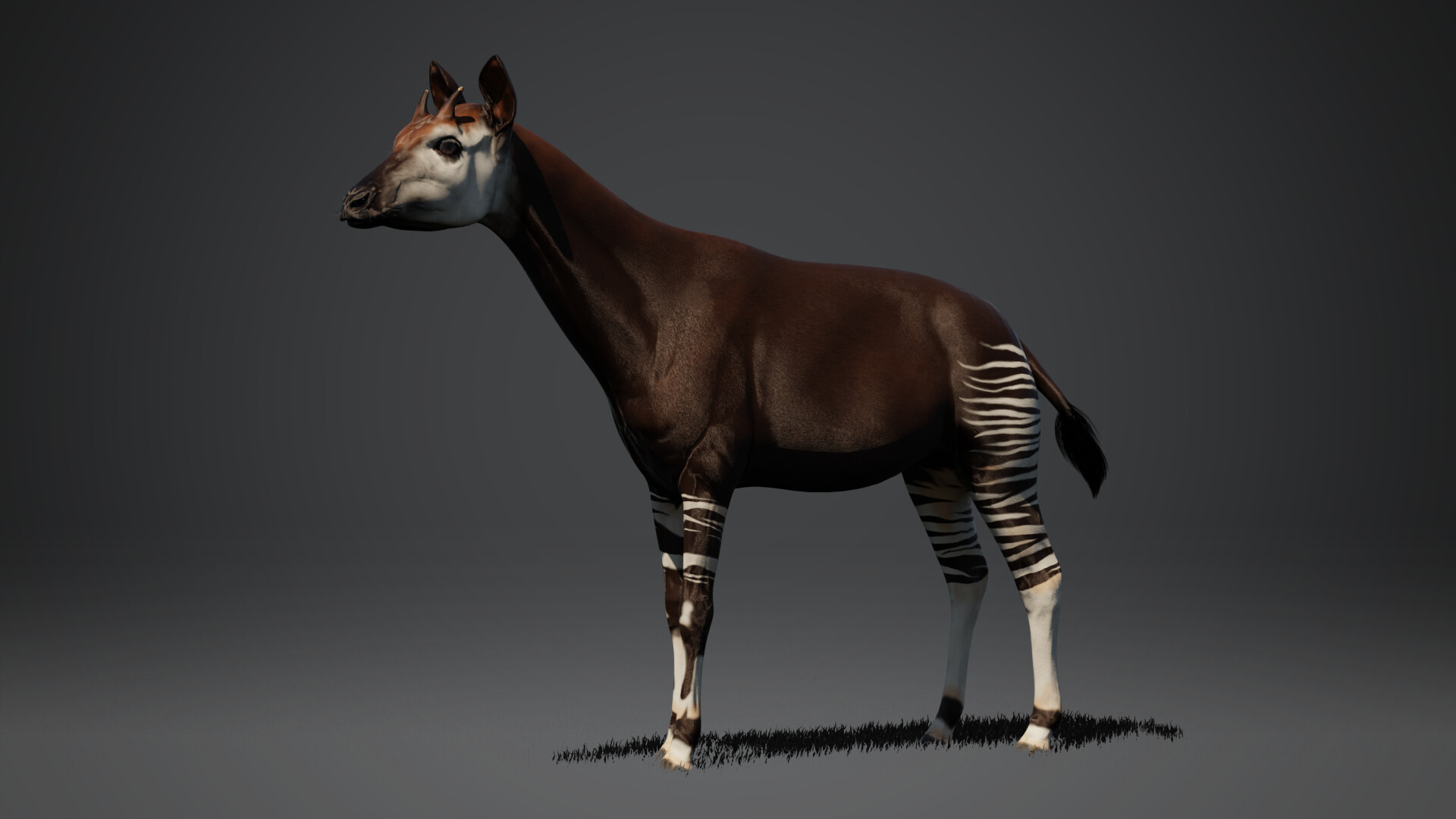 ArtStation - Okapi