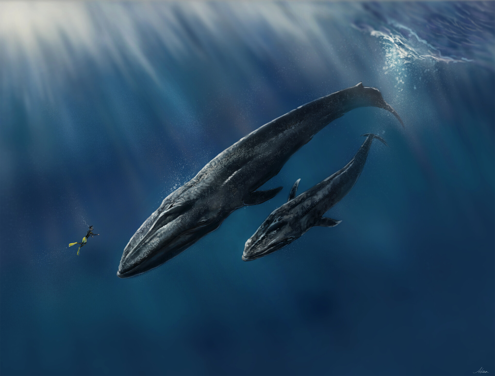ArtStation - Blue Whales
