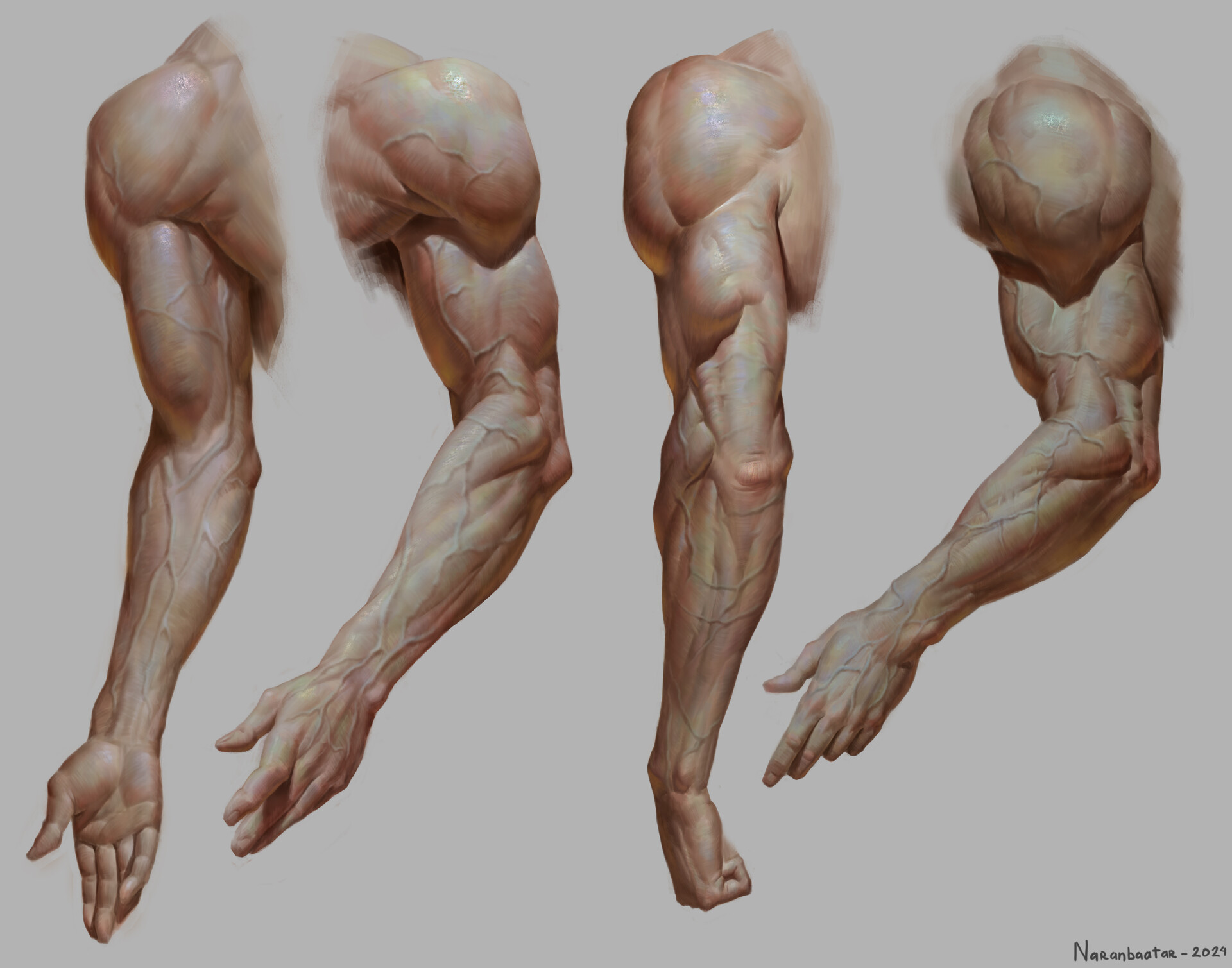 human arm drawing reference