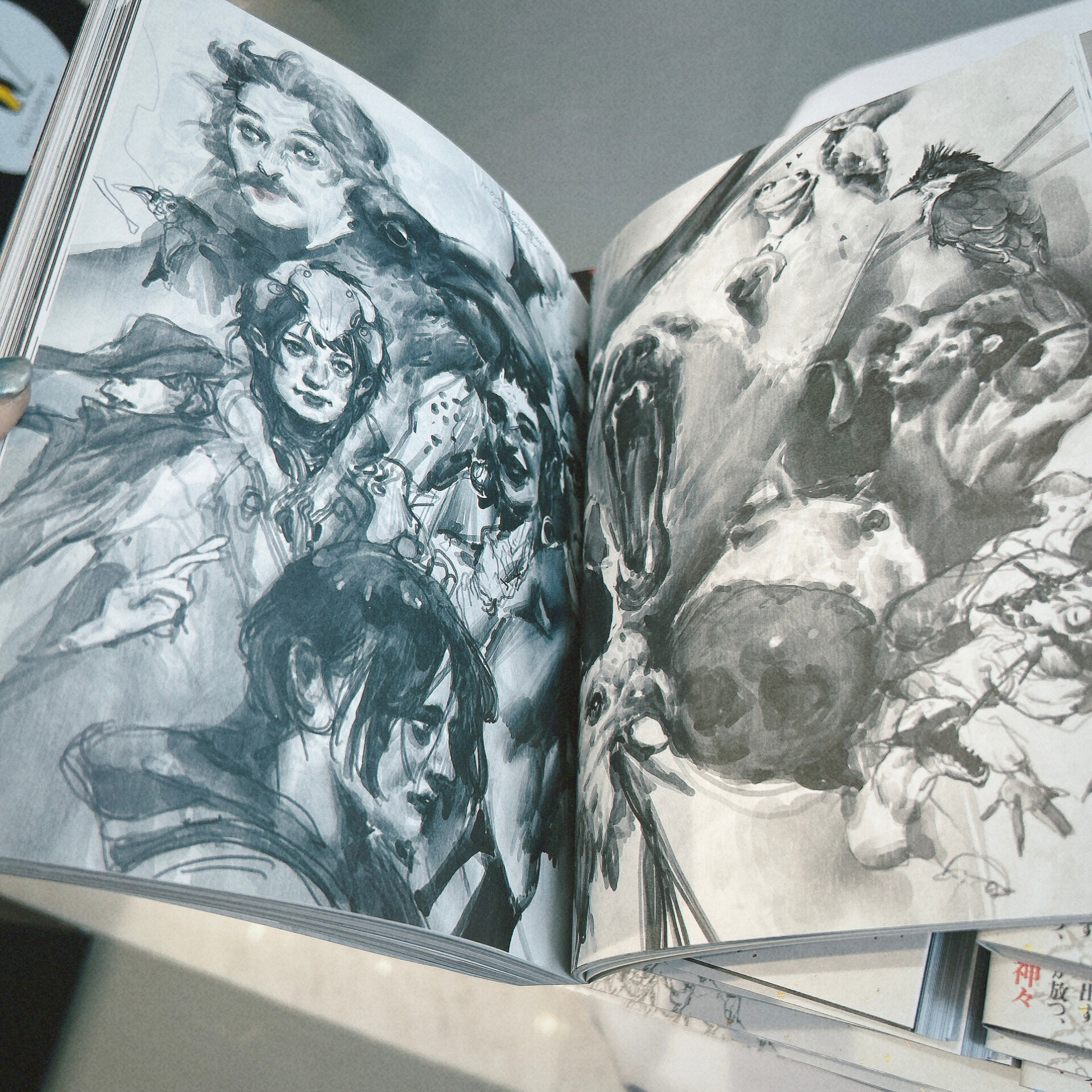 Entei Ryu - My Artbook & Exhibition 2024