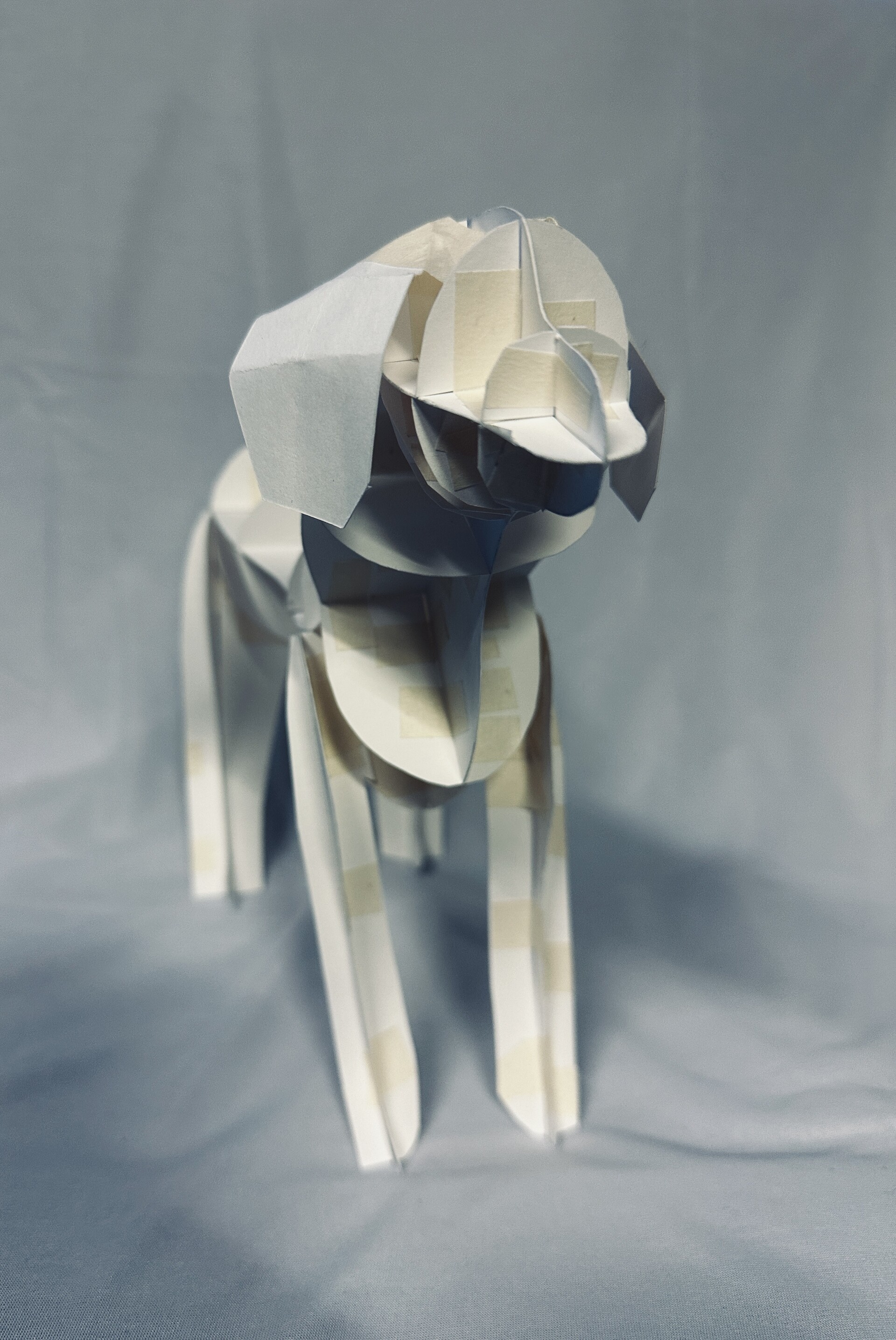 Danielle Dukofsky - Planar Animal Sculpture