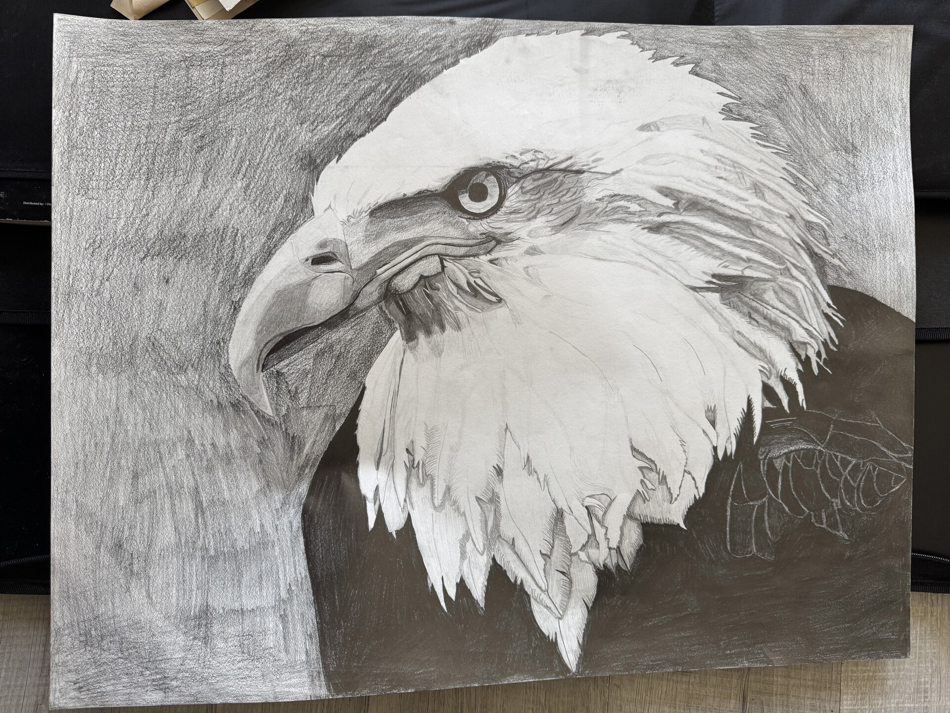 ArtStation - Bald Eagle