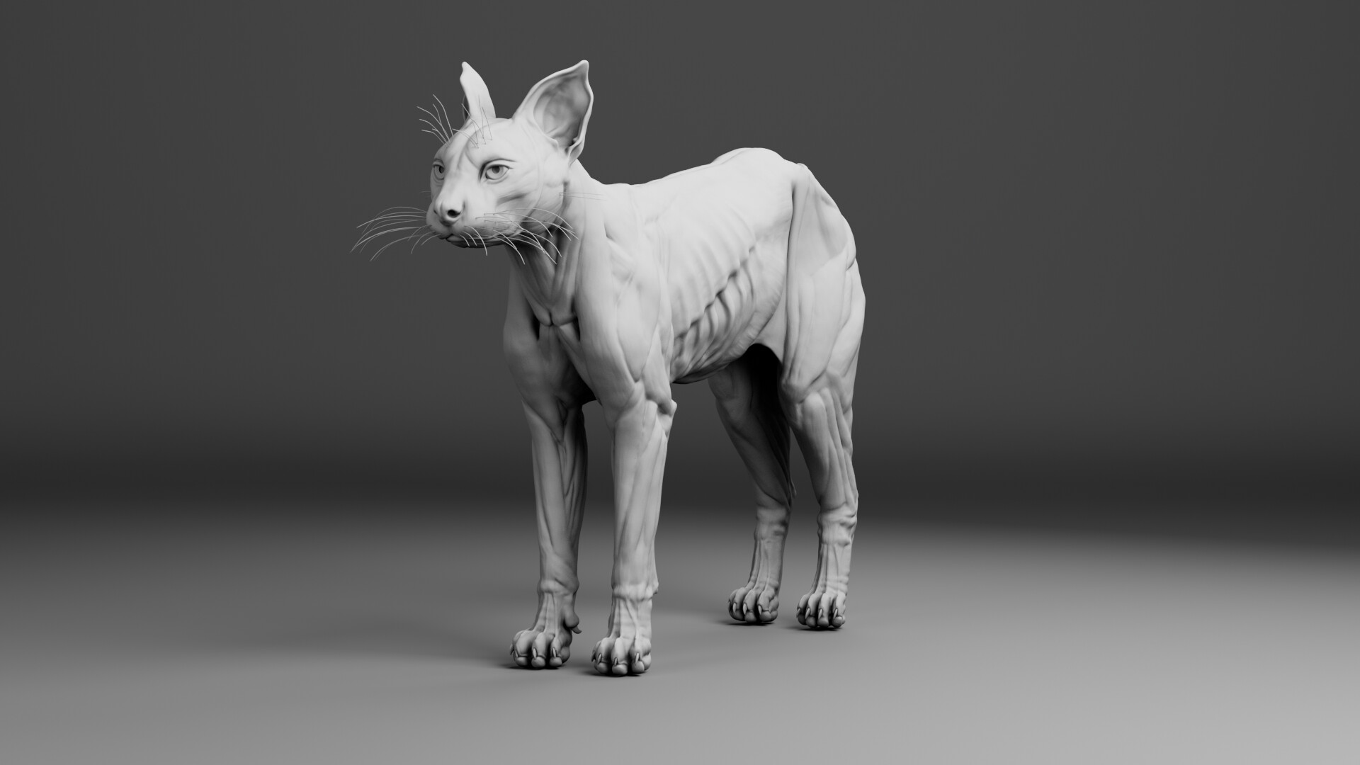 Rolando "Mork" Ramirez Jr - Caracal