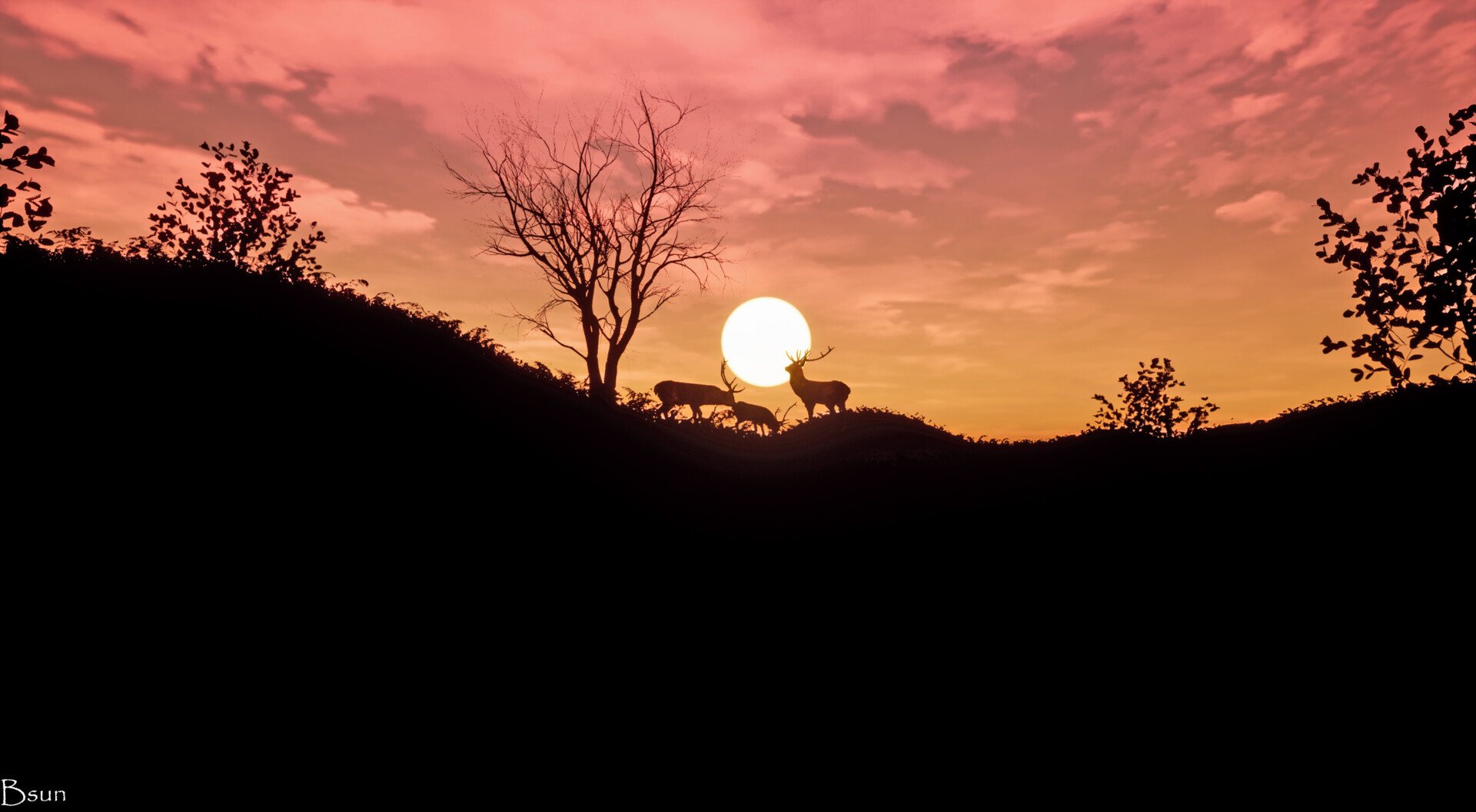 ArtStation - Sunrise