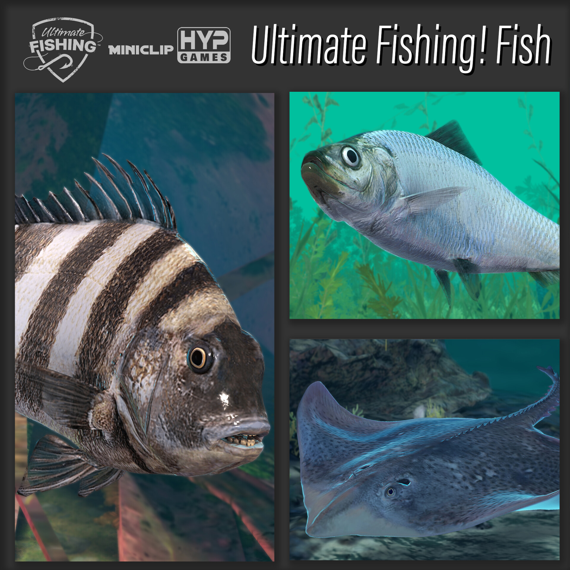 ArtStation - Ultimate Fishing! Fish