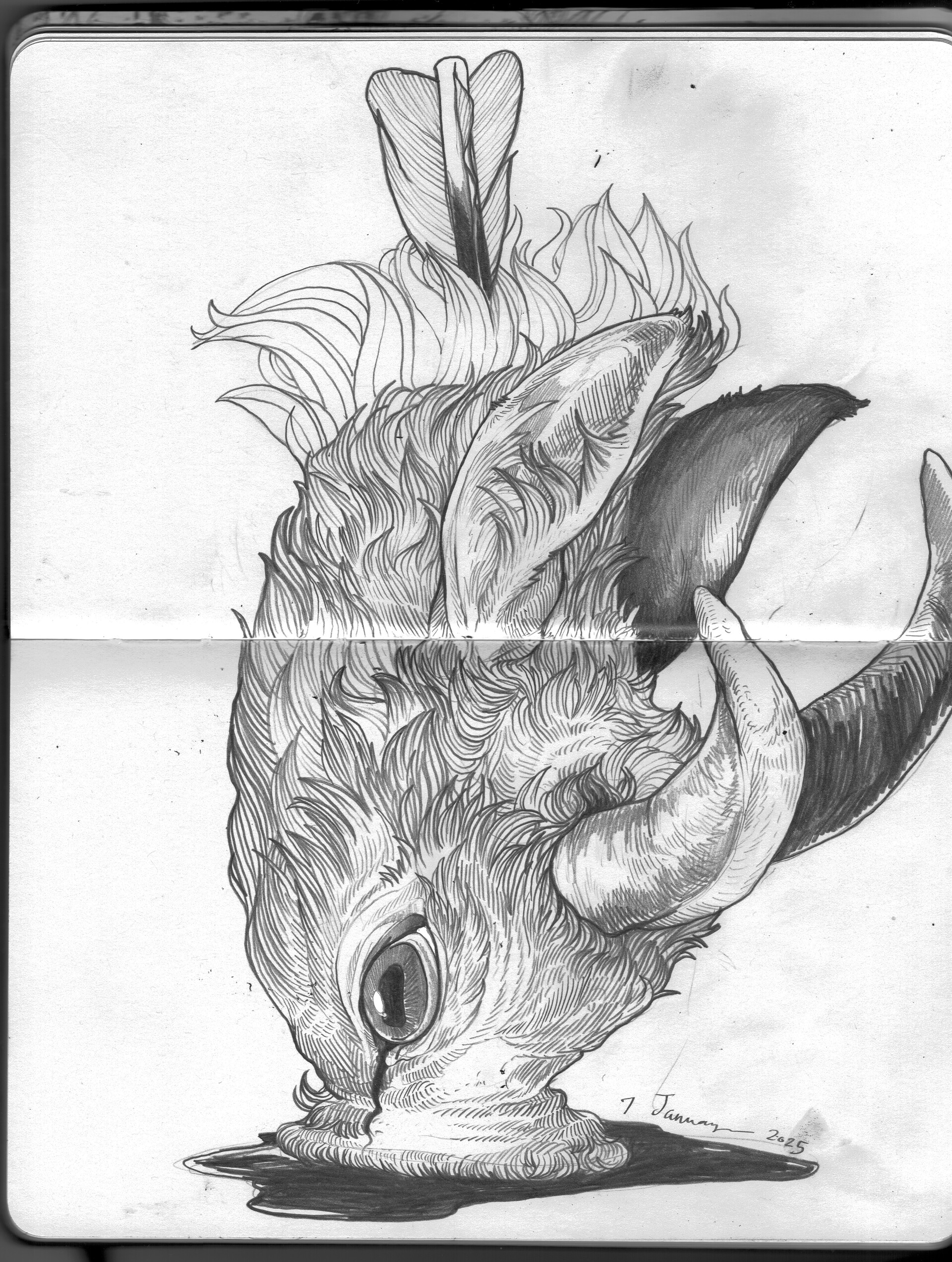 Candace Breakell - hitting the wall