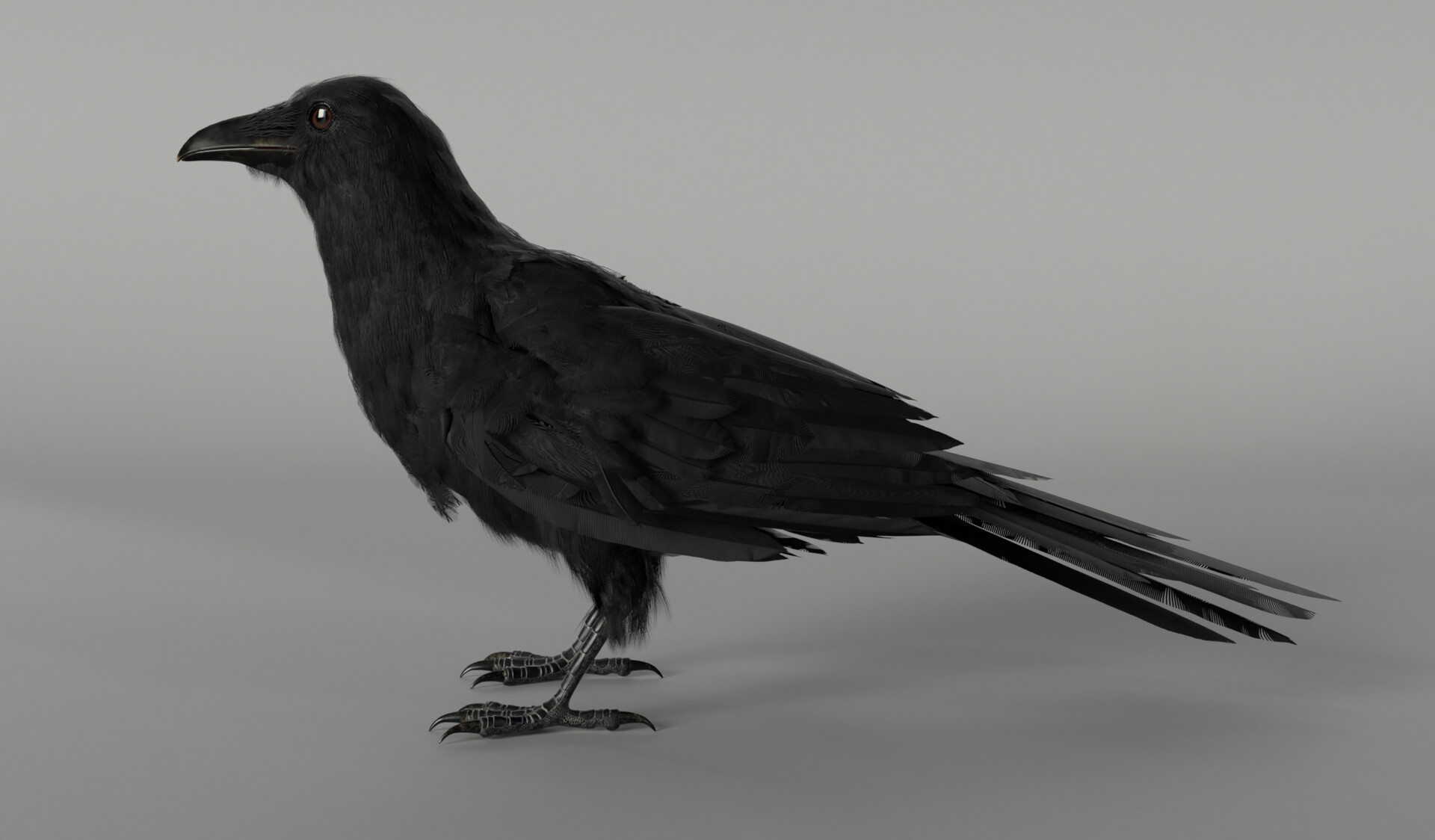 ArtStation - Crow