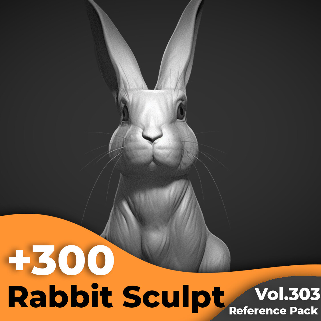 3D Head Sculpt References in 4K - Tika Art - +300 Rabbit Sculpt ...