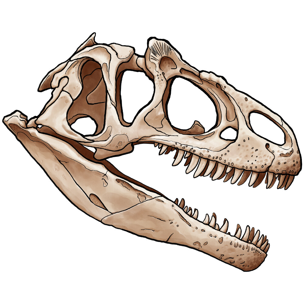 ArtStation - Dinosaur Skulls