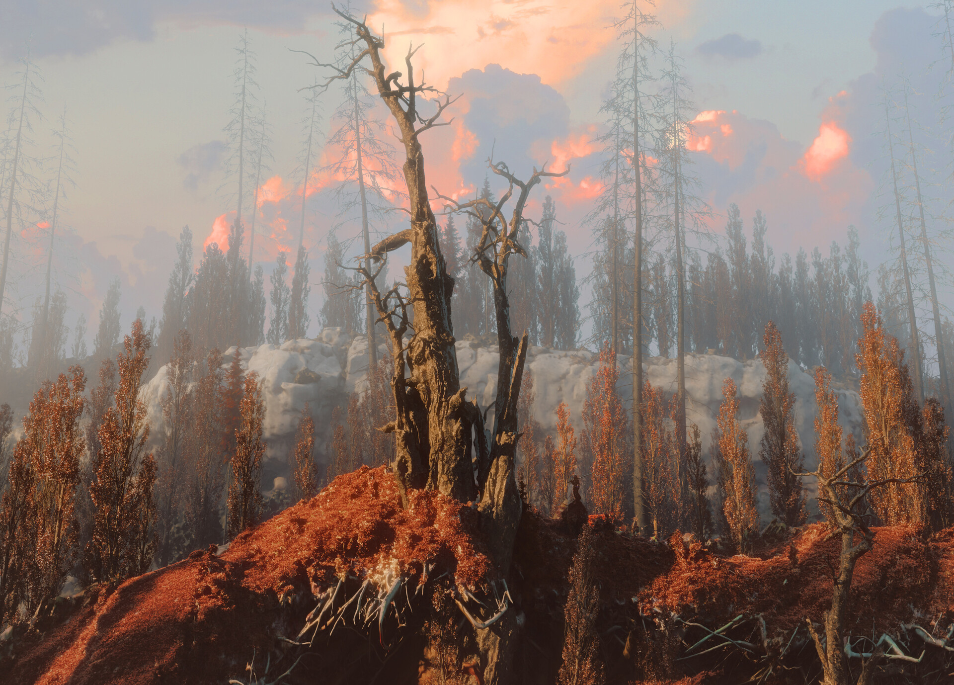 Evgeny Romanov - ROS: Burnt forest exploration