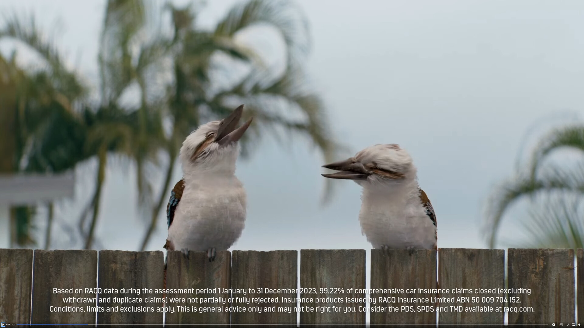 Daniel Phillis - RACQ Kookaburra's
