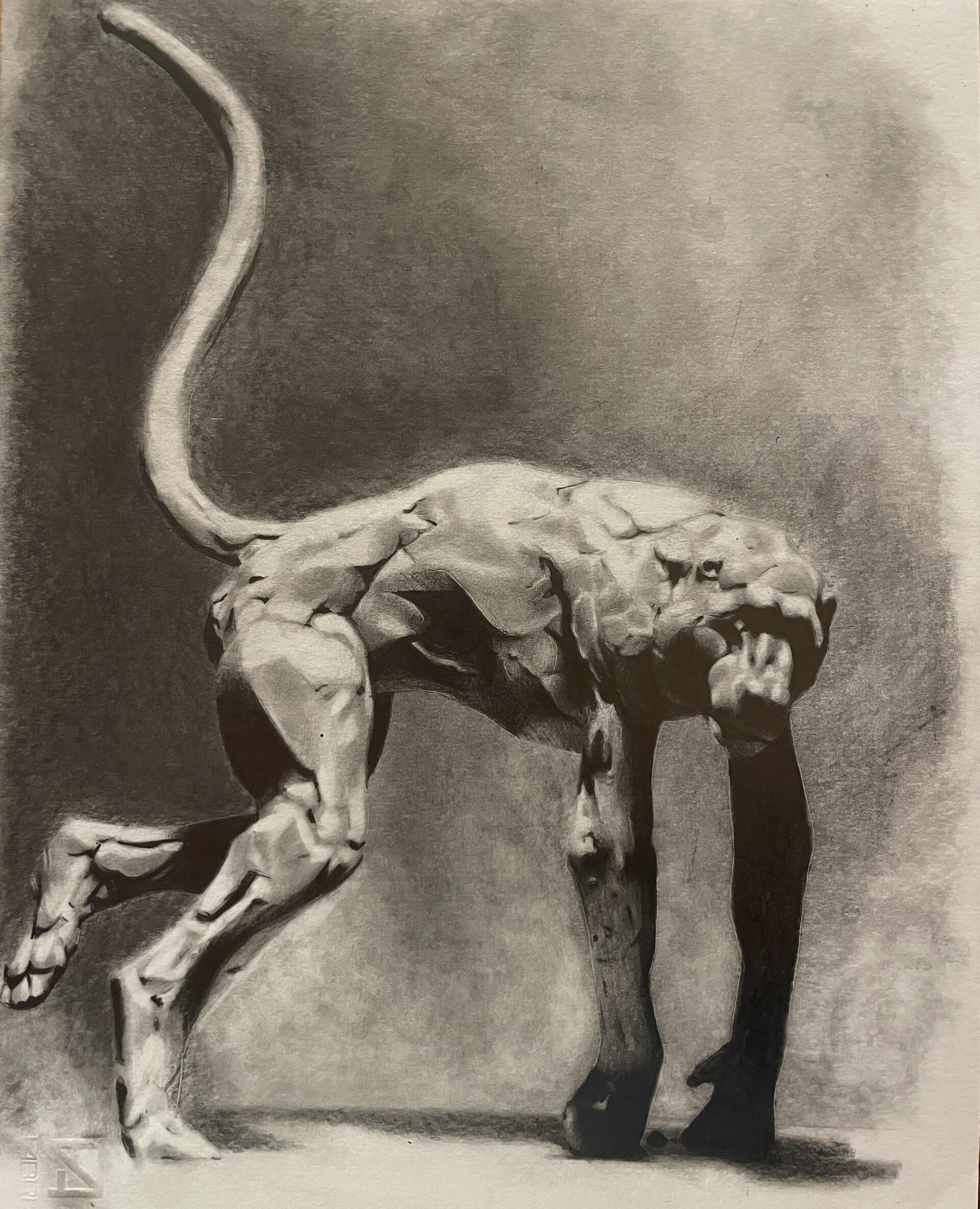 ArtStation - Graphite exercise - Monkey