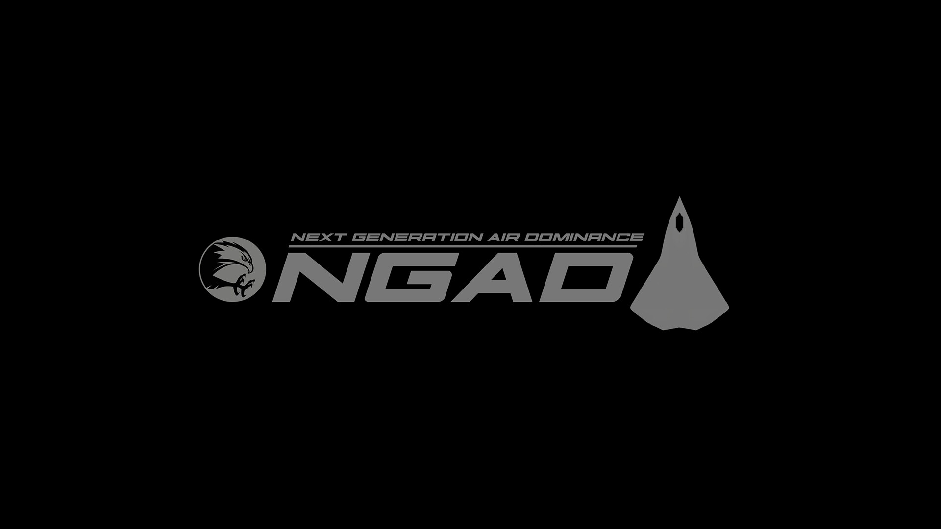 AR020 - NGAD