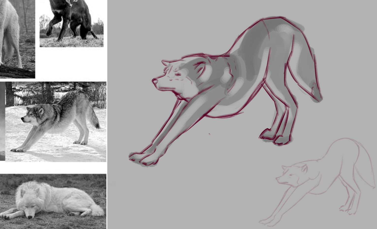 ArtStation - Animals Study