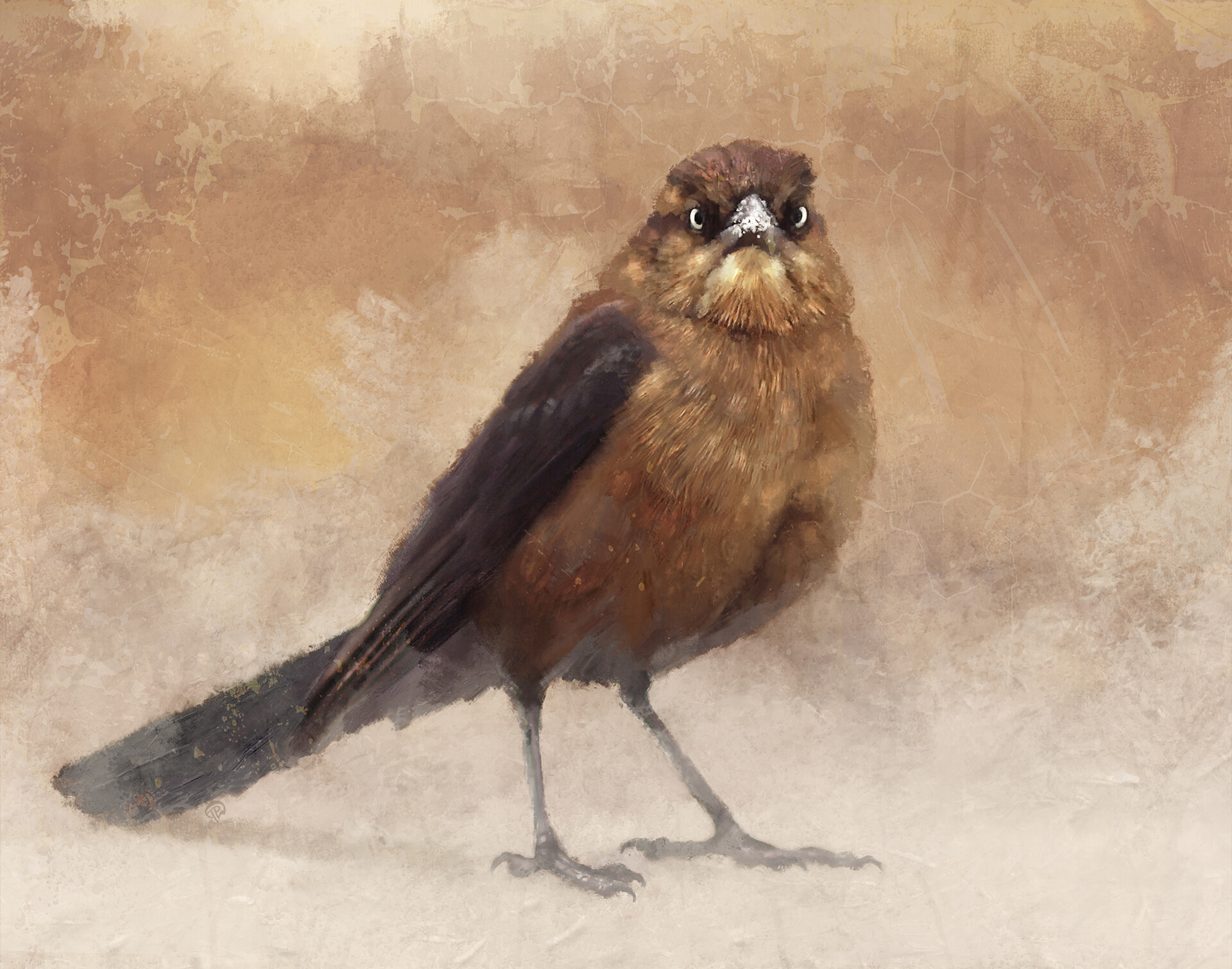 ArtStation - Matt 6:26 Father Feeds Them