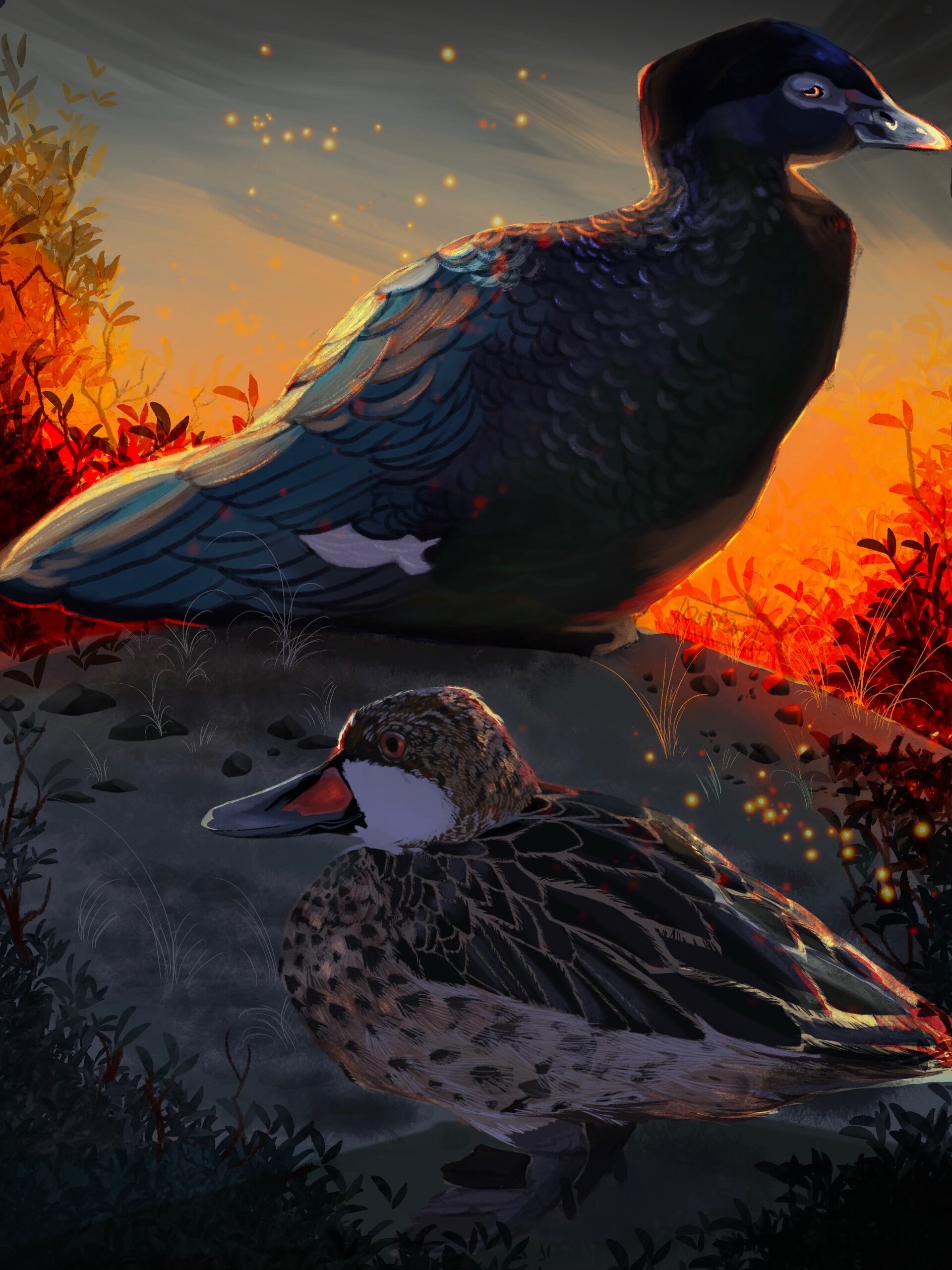 ArtStation - Duck’s rest