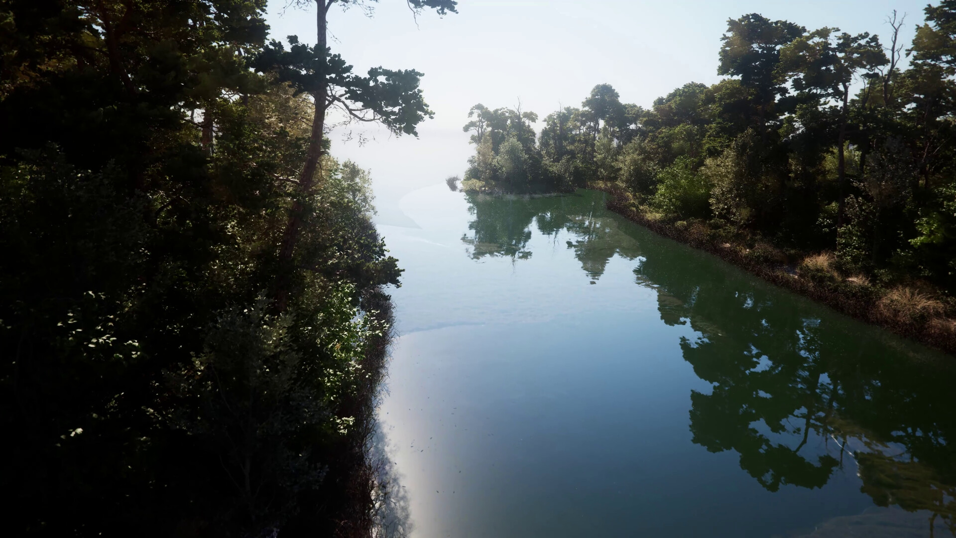 Melhem Sfeir - Realistic Forest UE5