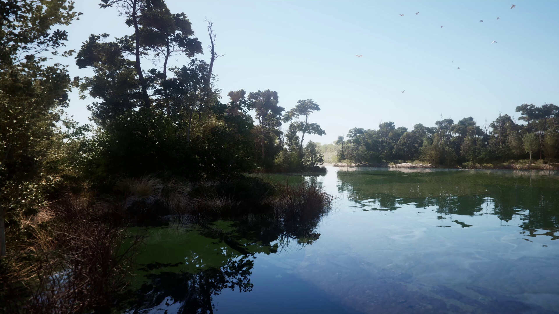 Melhem Sfeir - Realistic Forest UE5