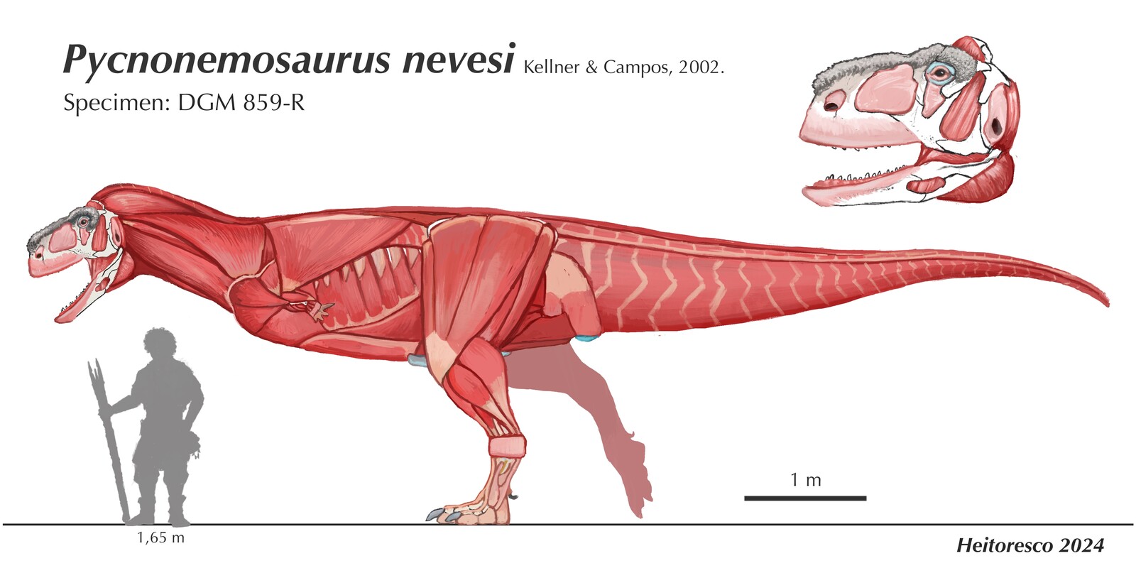 Heitoresco - Pycnonemosaurus nevesi