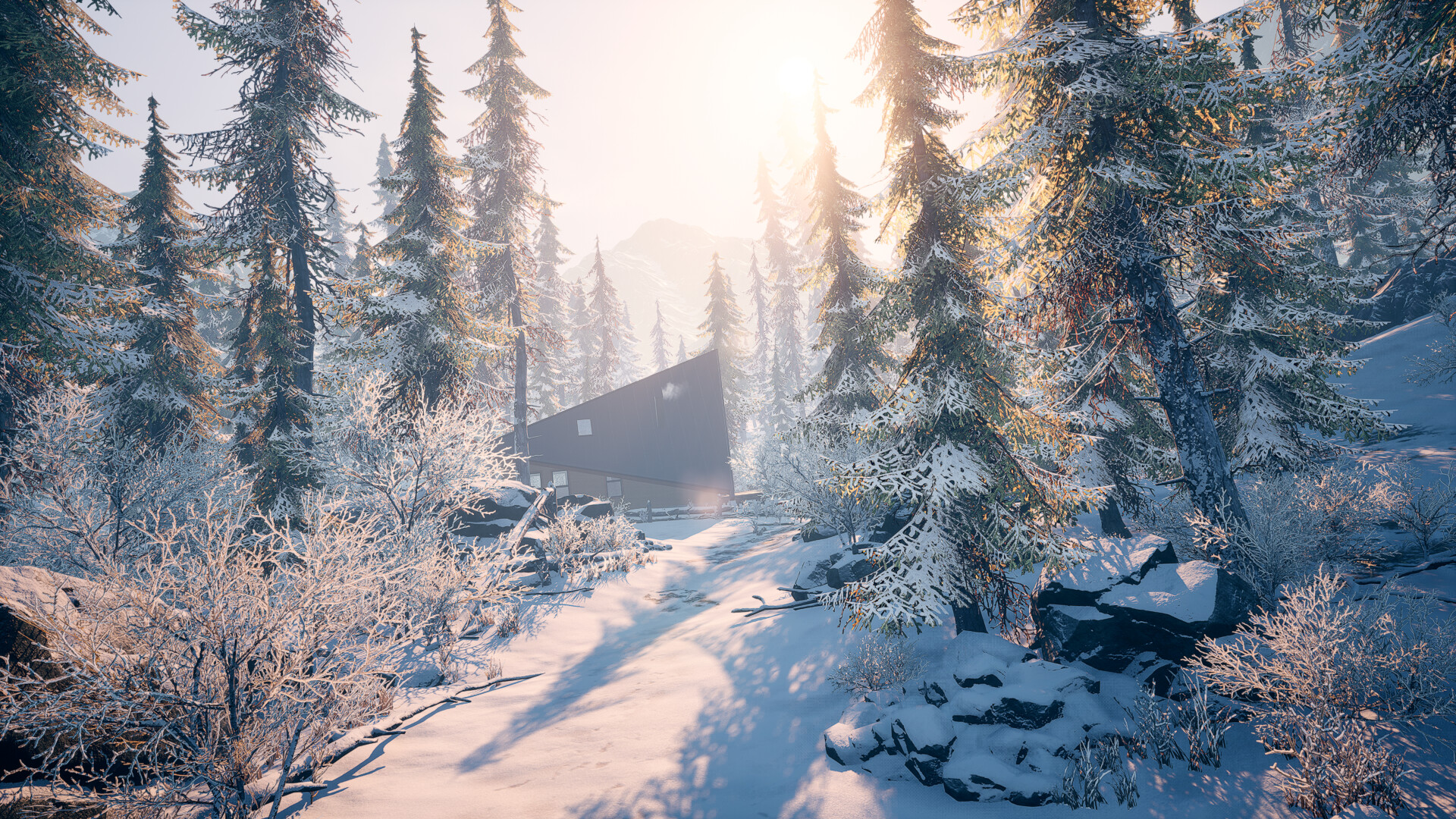 Juan_gm - Winter Environment