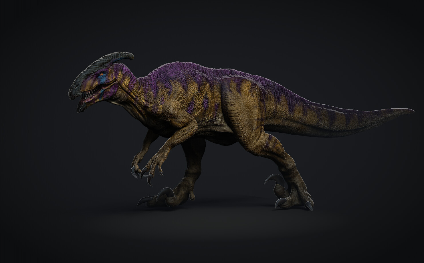 Kevin Vanwijmelbeke W.rex - Paradeinonychus