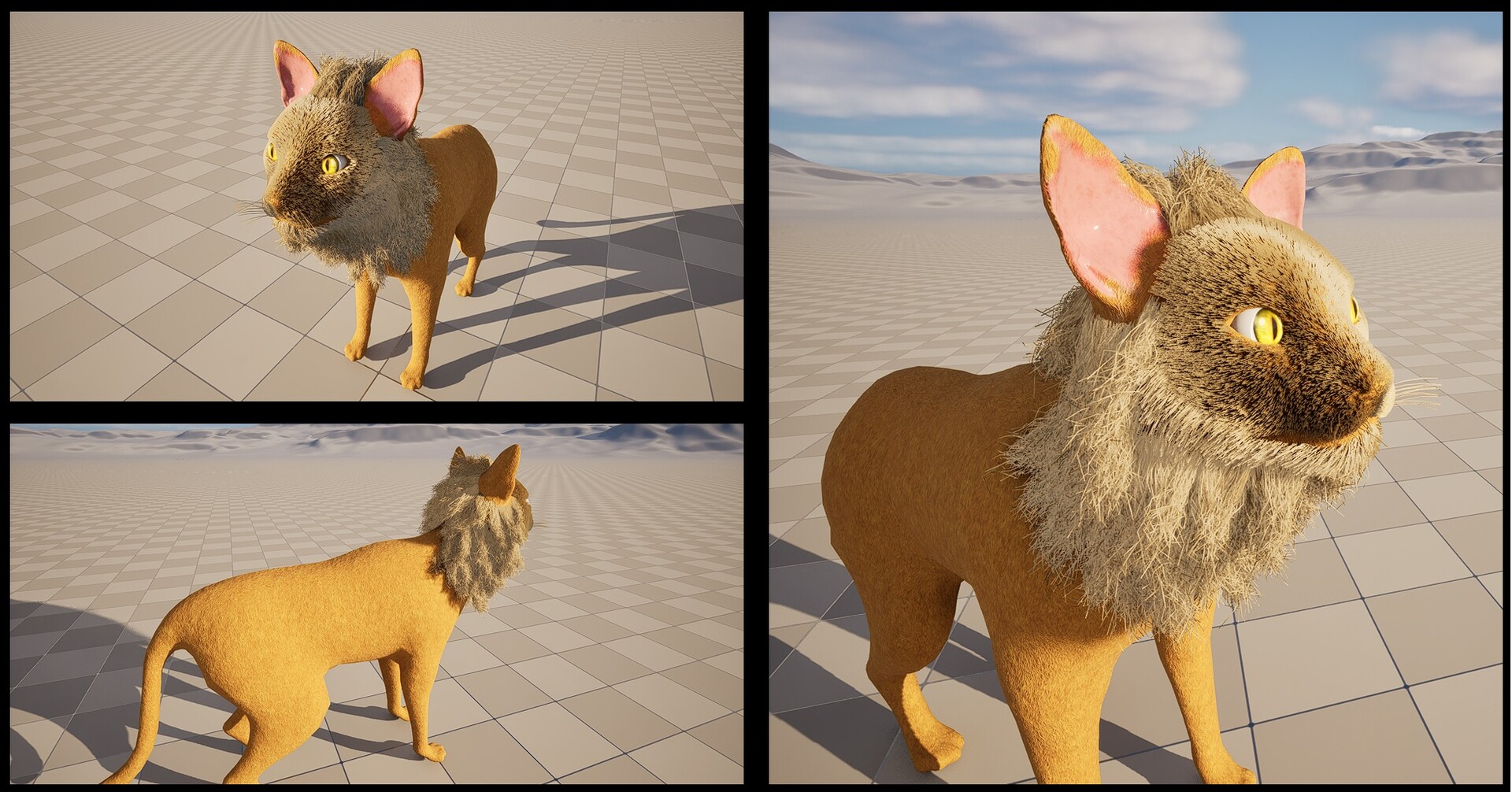 Bogdan Adrian lefter - Cat - interactive groom