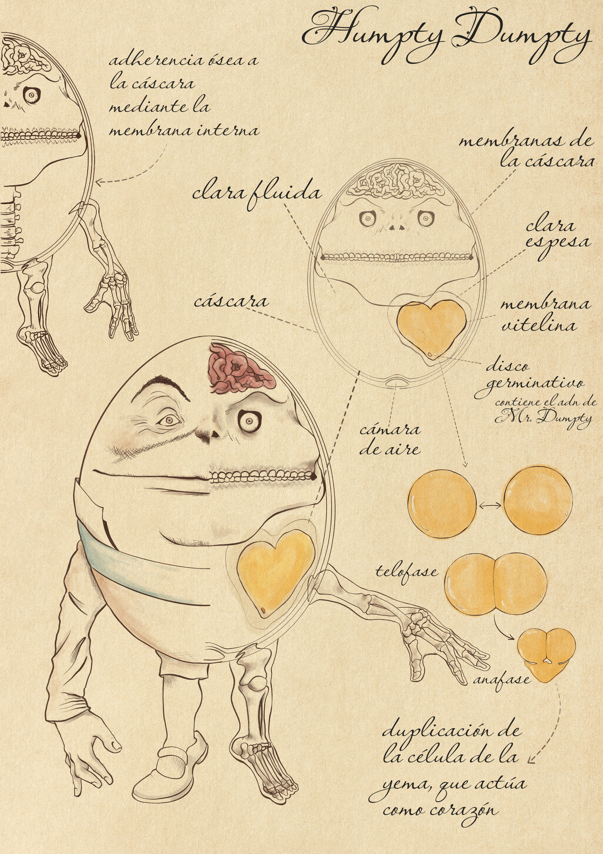 ArtStation - Humpty Dumpty