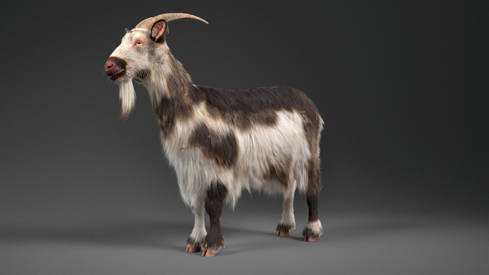 ArtStation - Goat Grooming